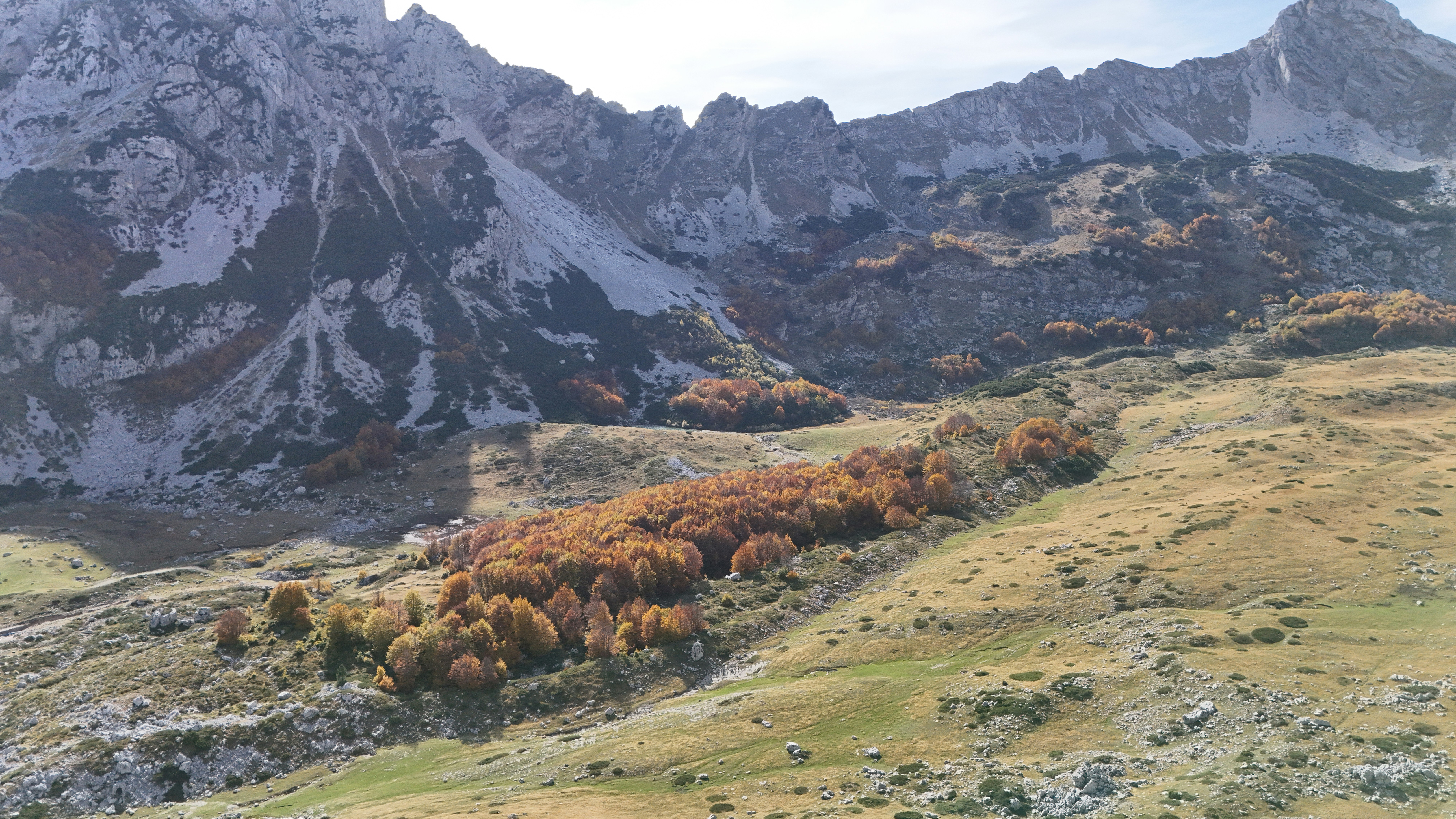 Autumn's Embrace on Mountain Slopes