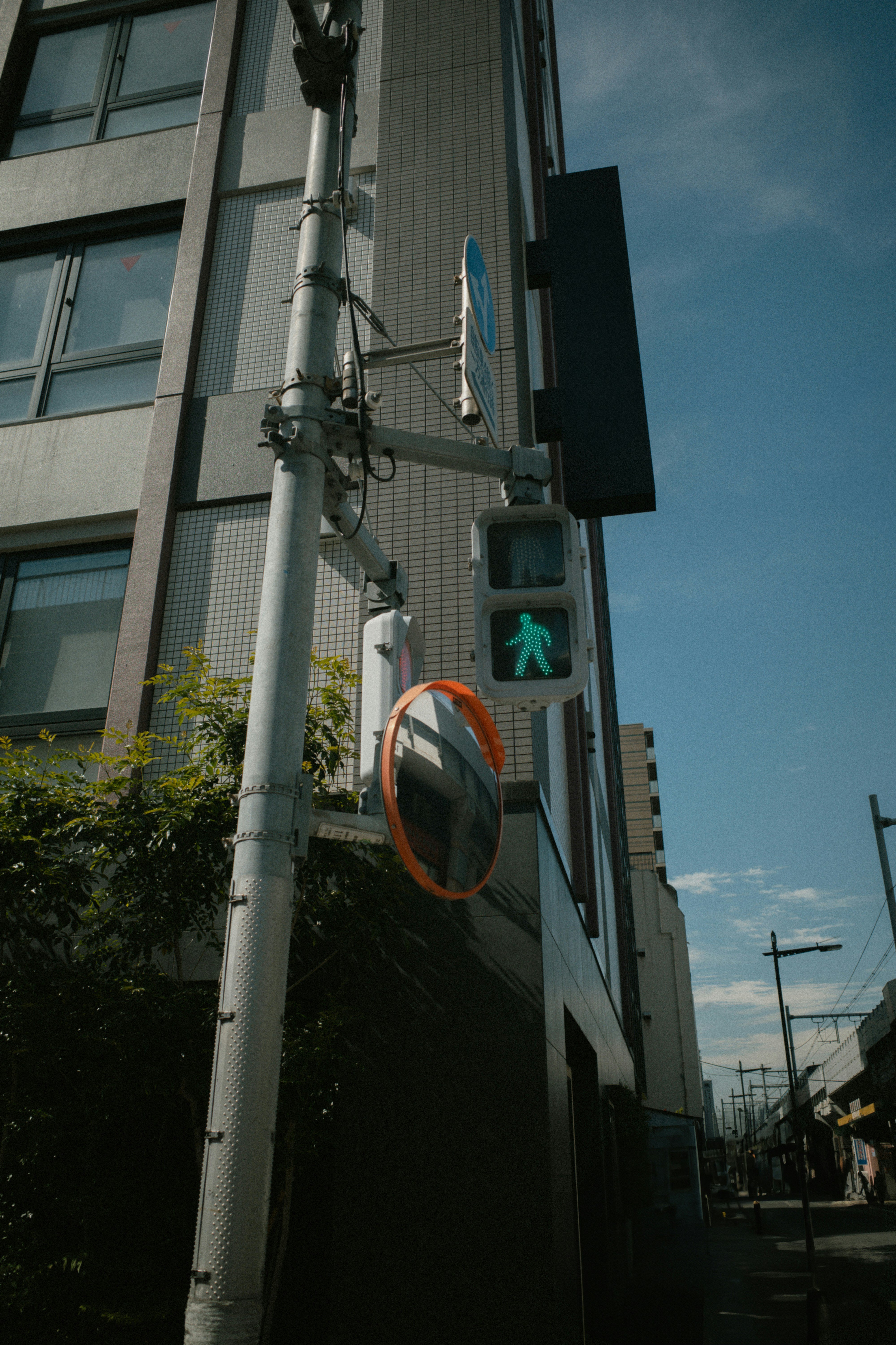 Urban Signals: A Dance of Green and Reflection