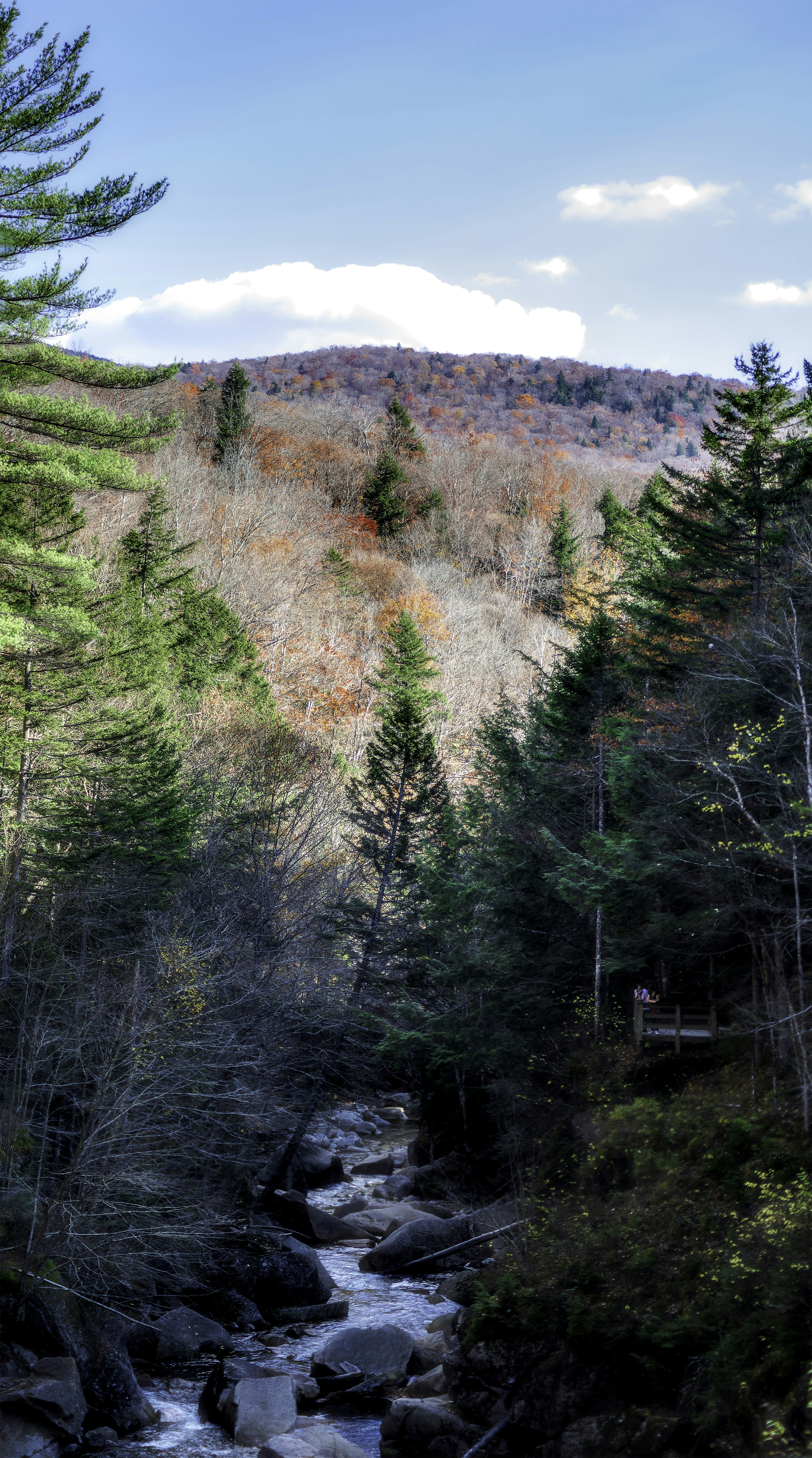 Mountain Stream — autumn forest rising above a rushing river in Franconia Notch