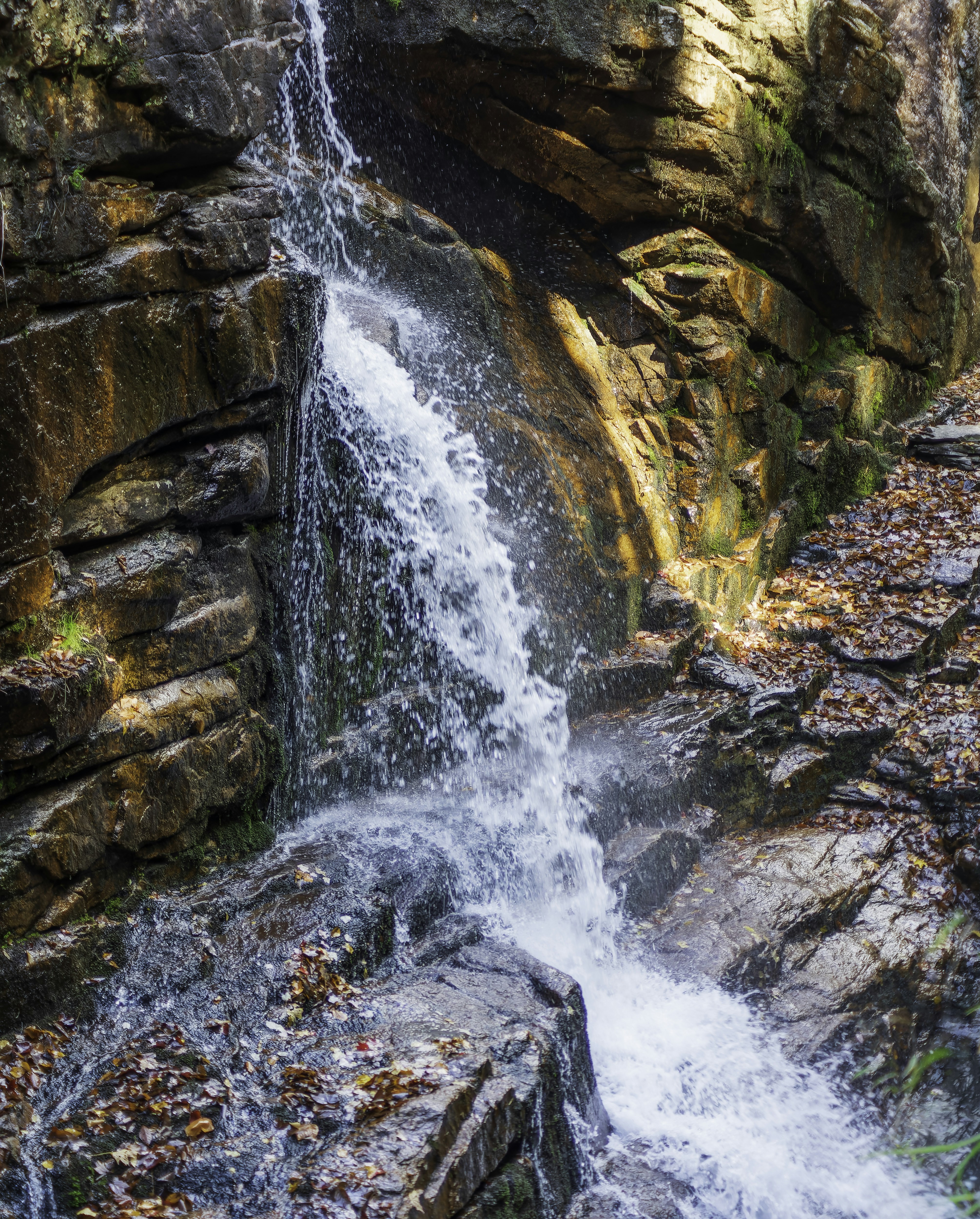 Cliffside Falls — narrow waterfall carving through rocky Franconia gorge | A waterfall cascades down rocky terrain with sunlight filtering through.