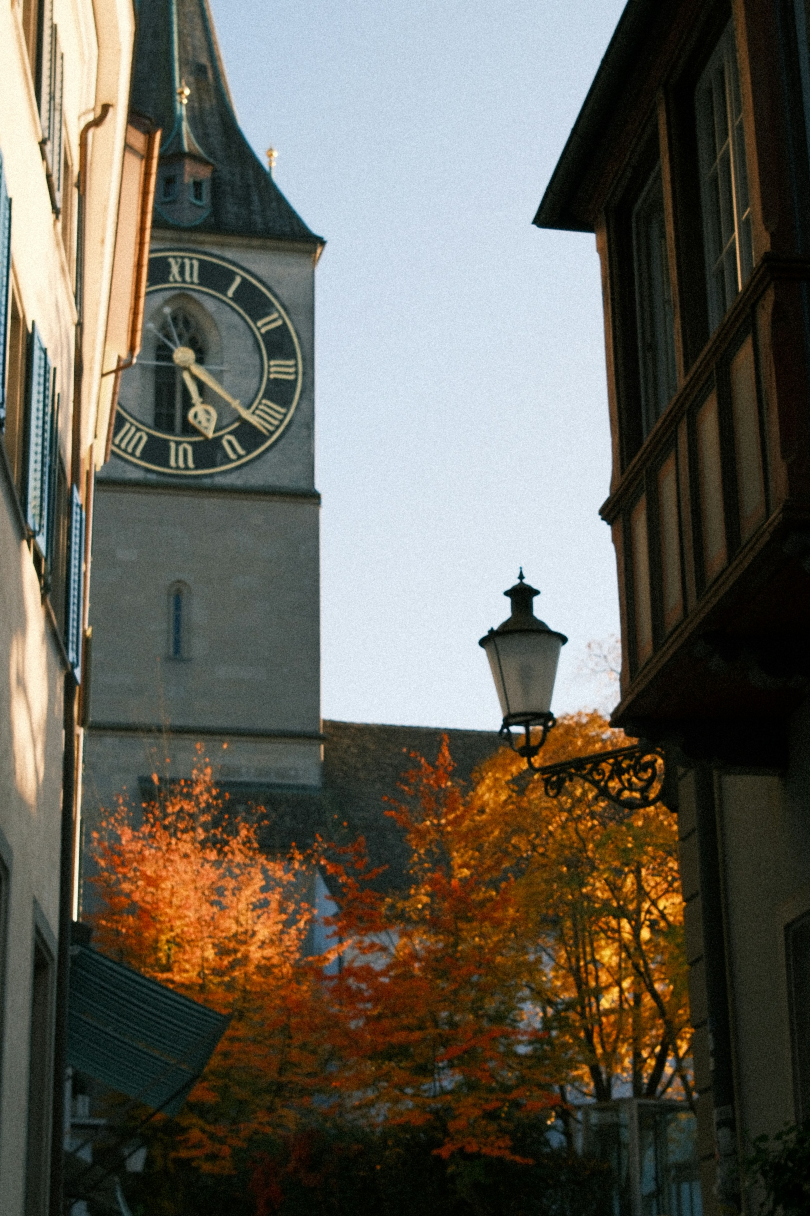 Autumn's Embrace in the Heart of Time