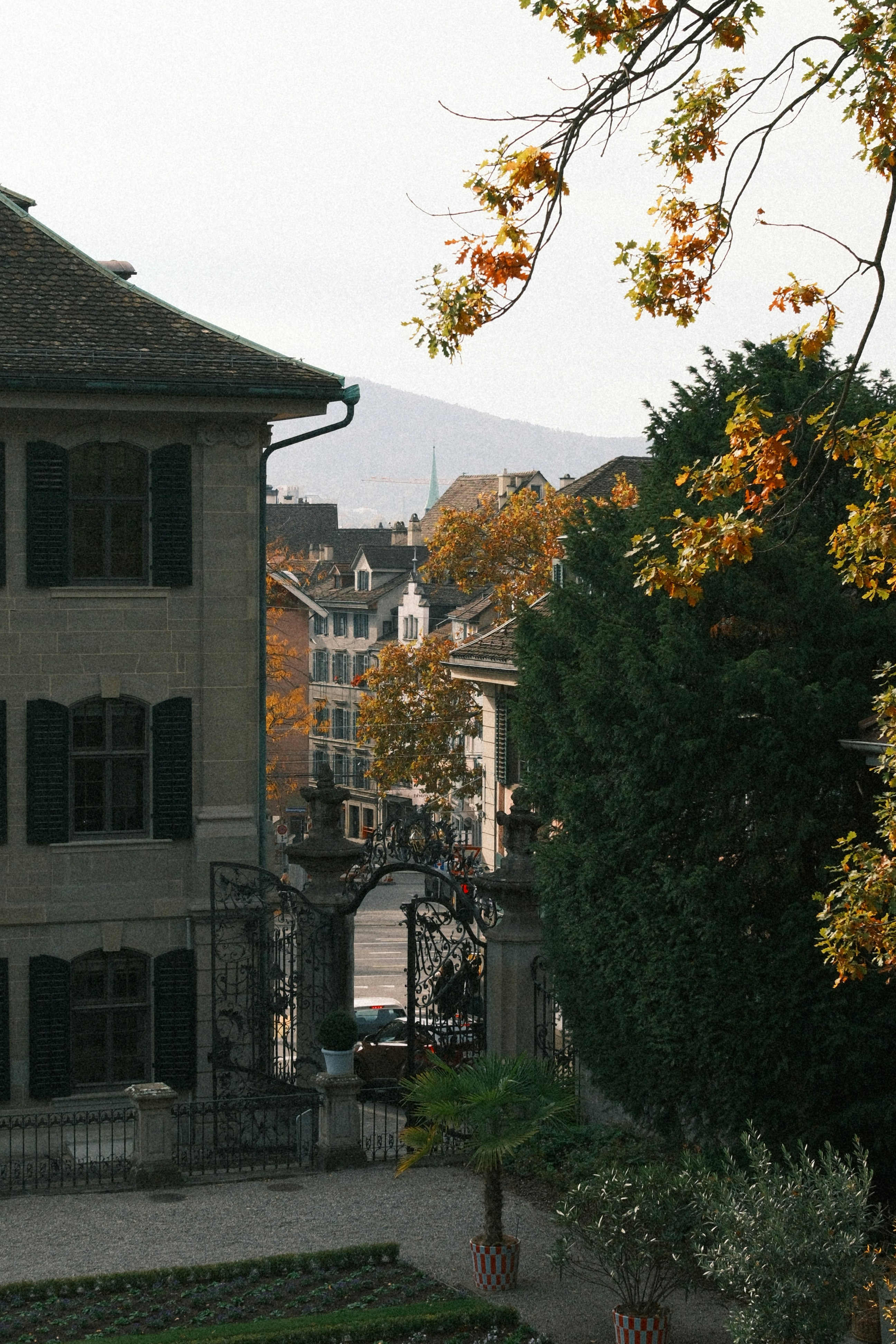 A Glimpse of Autumn in the Heart of the City