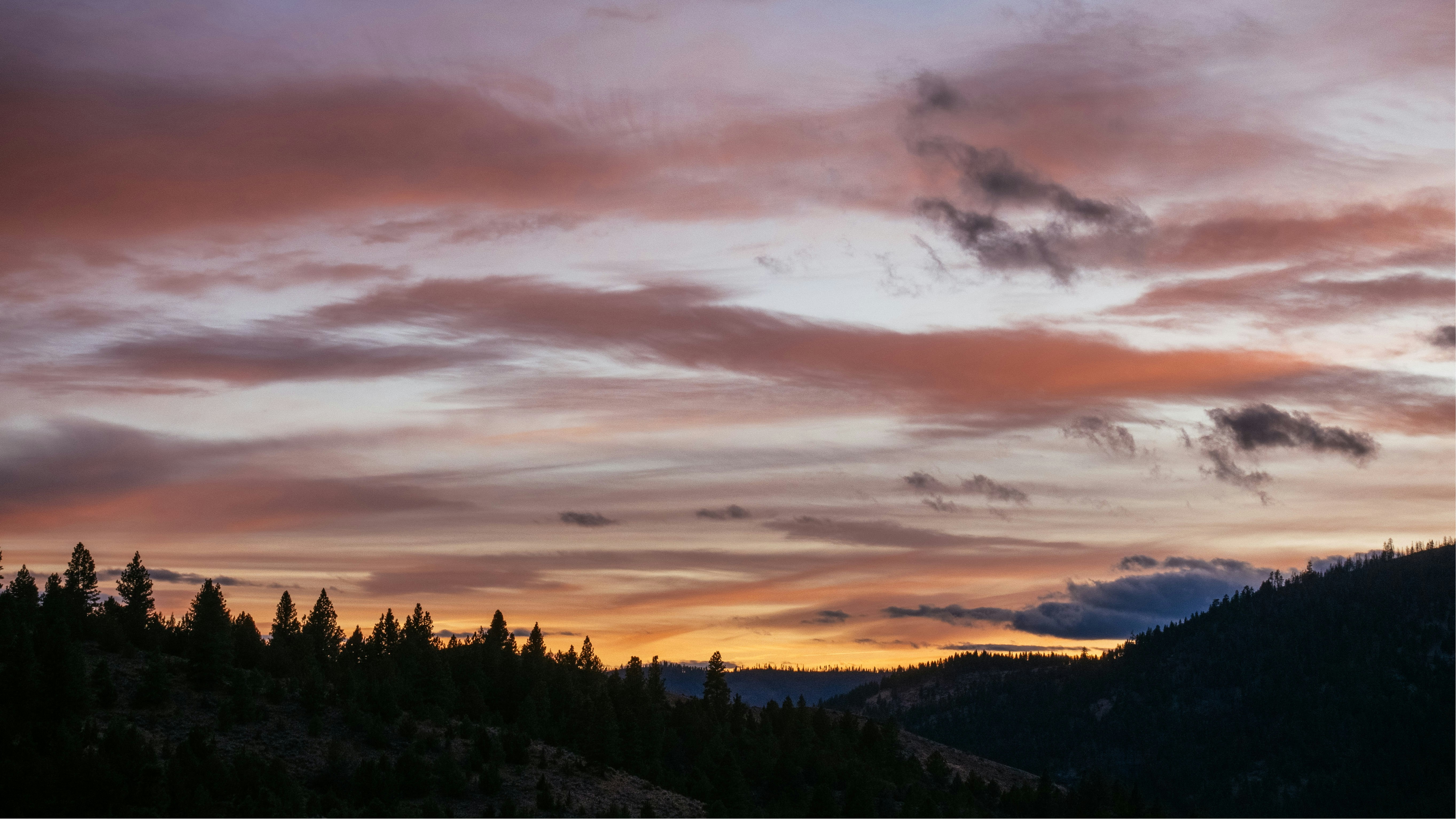 Dramatic sunset clouds over a dark forest landscape.