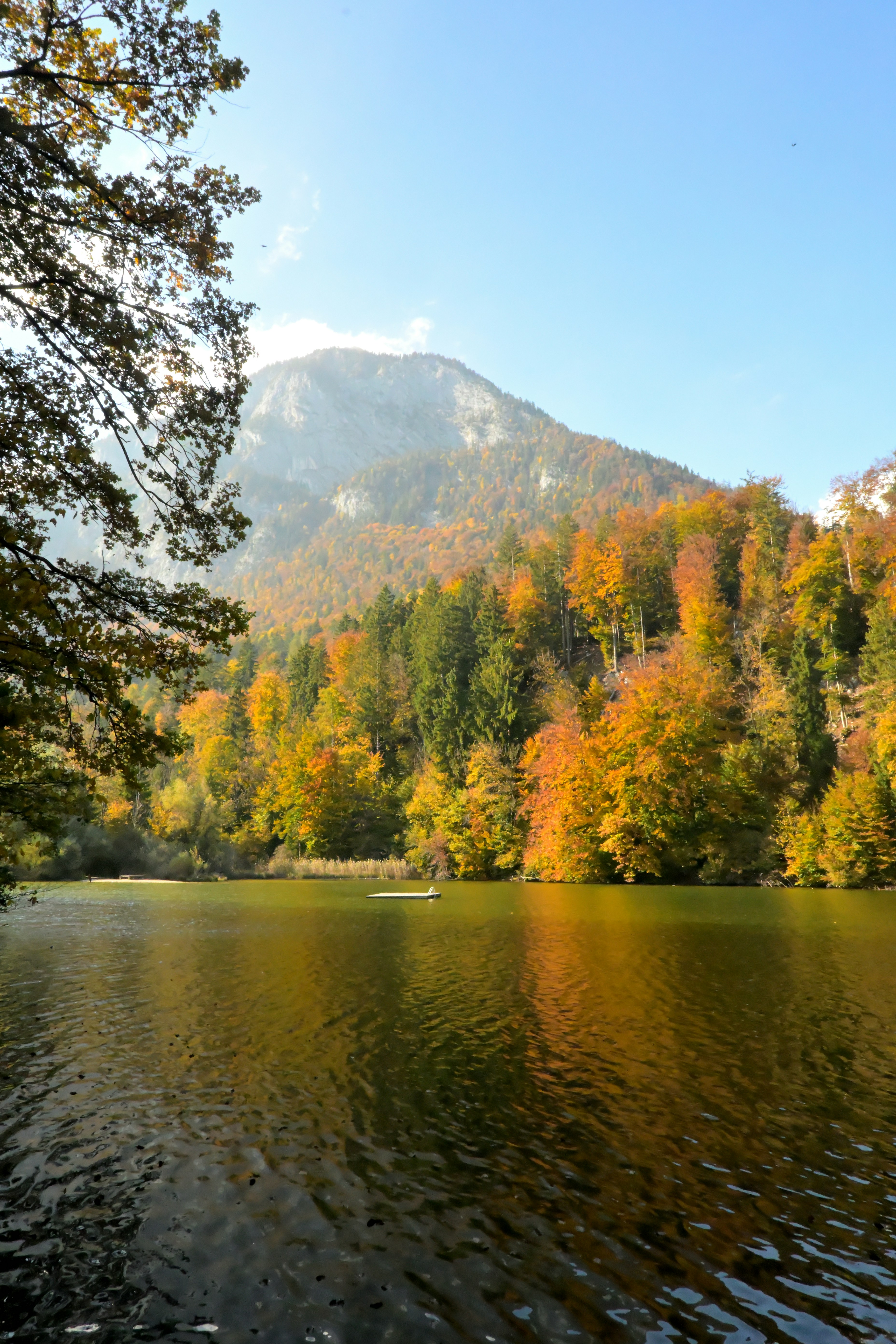 Autumn's Embrace: A Serene Lakeside Reflection
