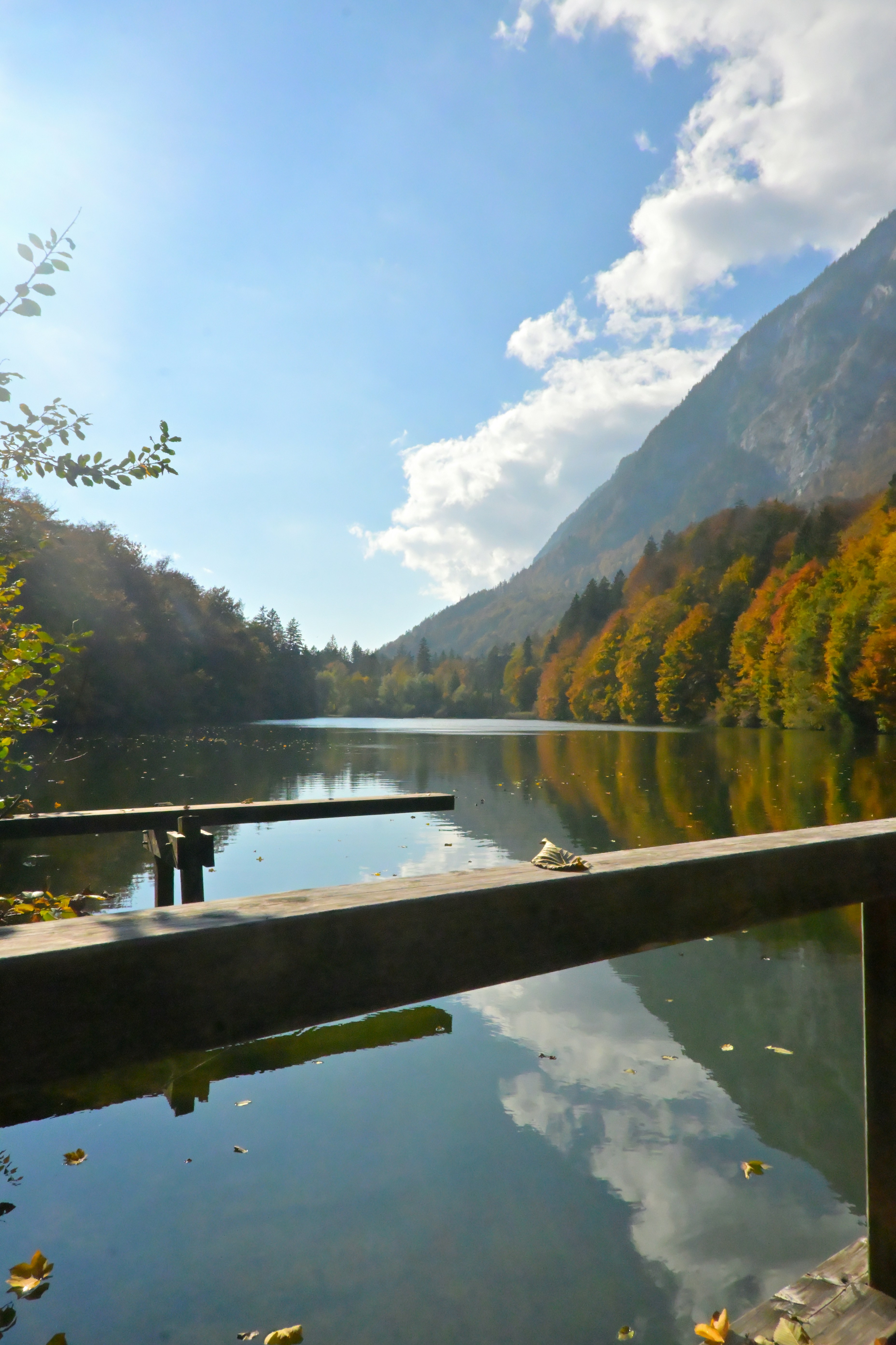 Autumn trees reflect on a calm lake with mountains.
