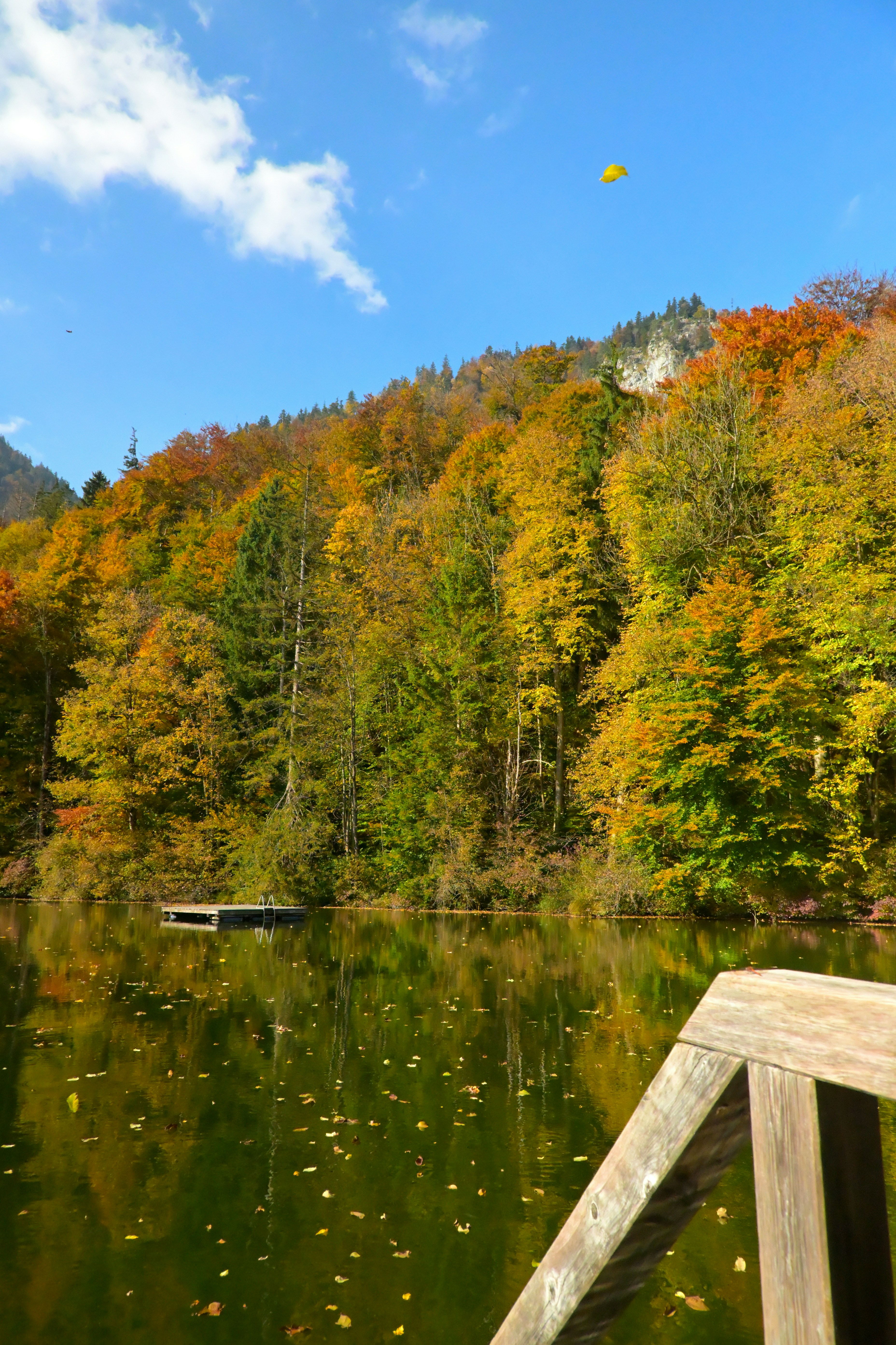 Photo by Niklas with Nikon Z50 II