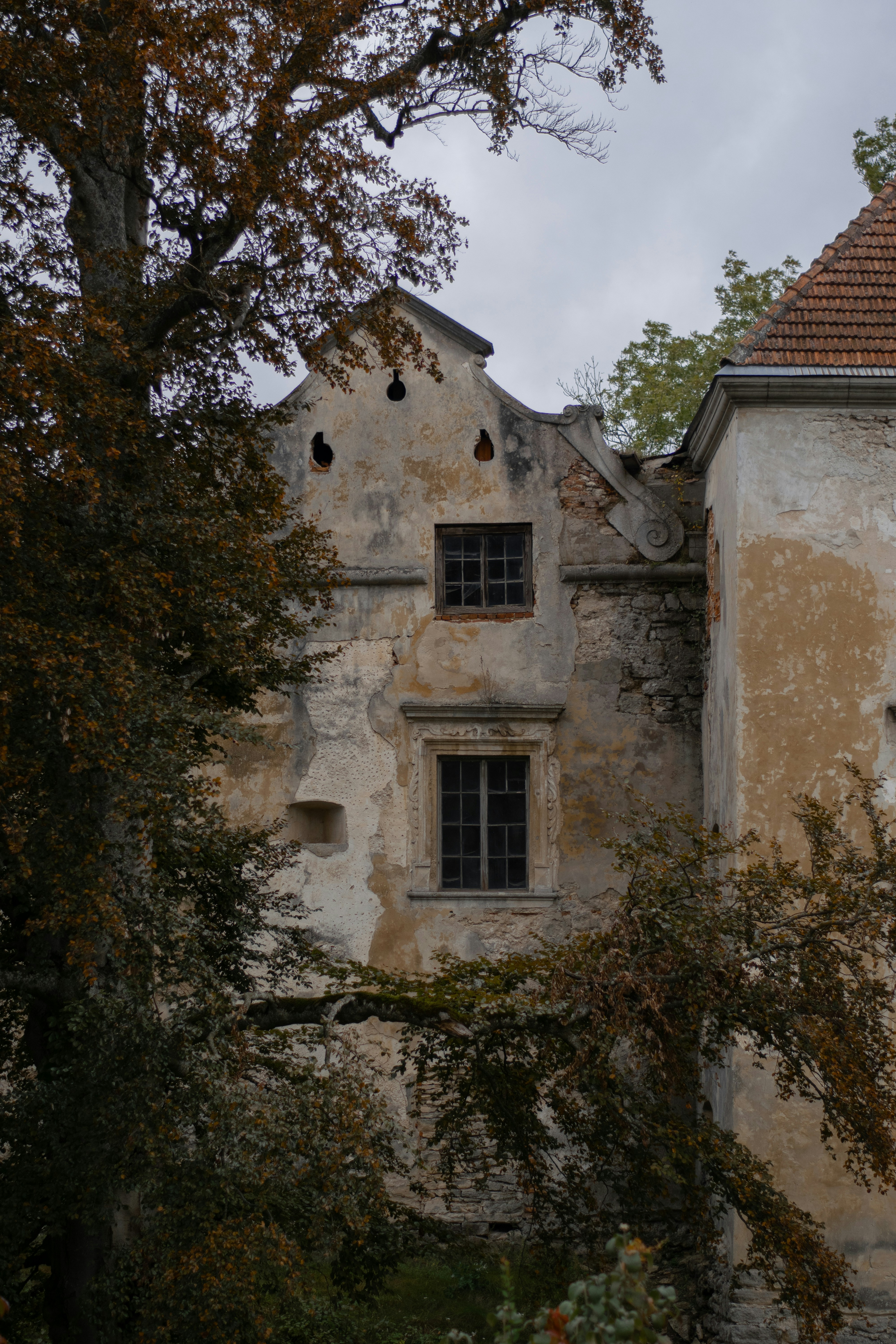 Photo by Karyna Chorna with Nikon D5300