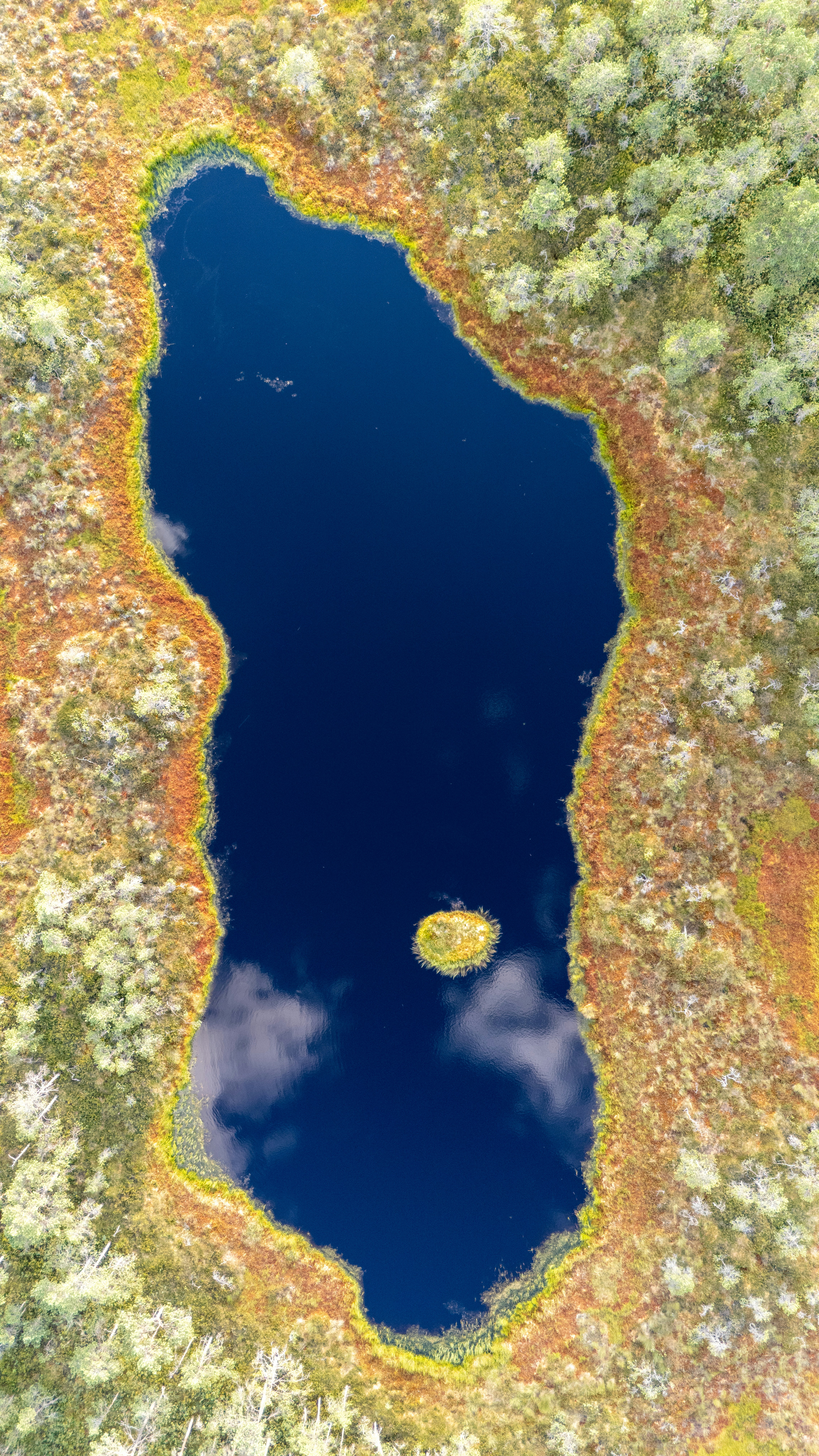 Aerial view of dark blue lake surrounded by autumn foliage.