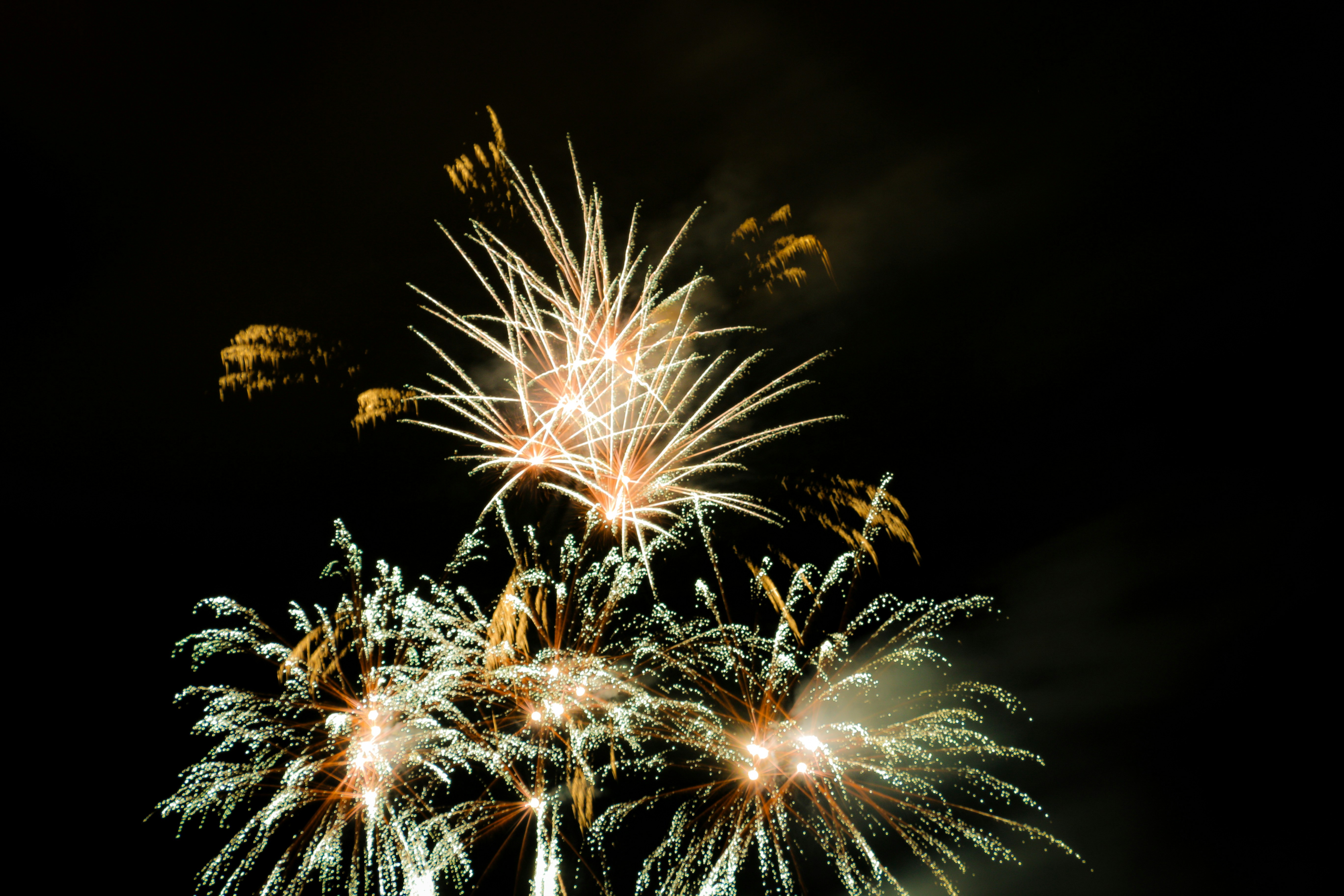 Golden Constellations Unfold in a Night Sky Firework Bloom