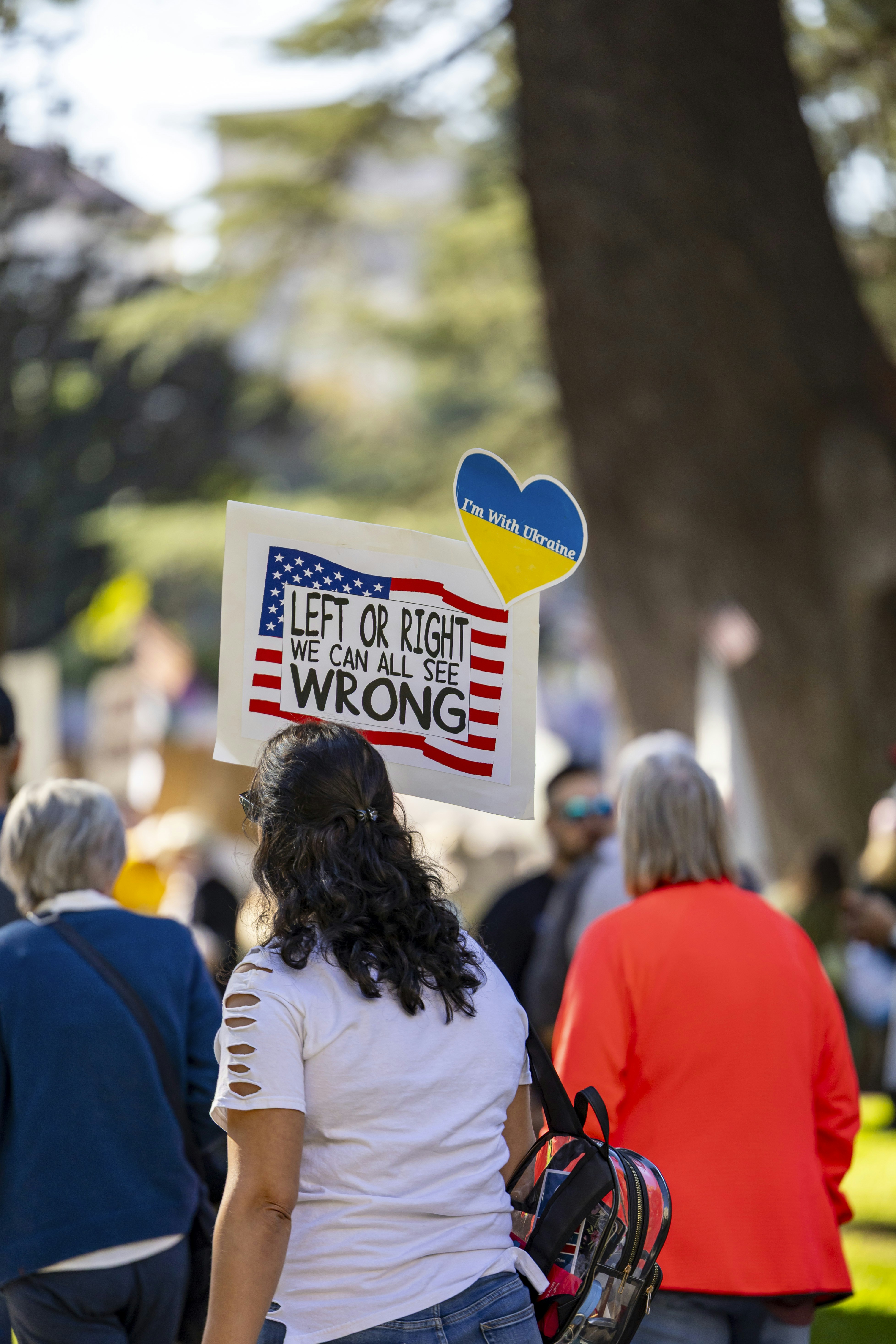 Voices of Dissent: A Call for Unity