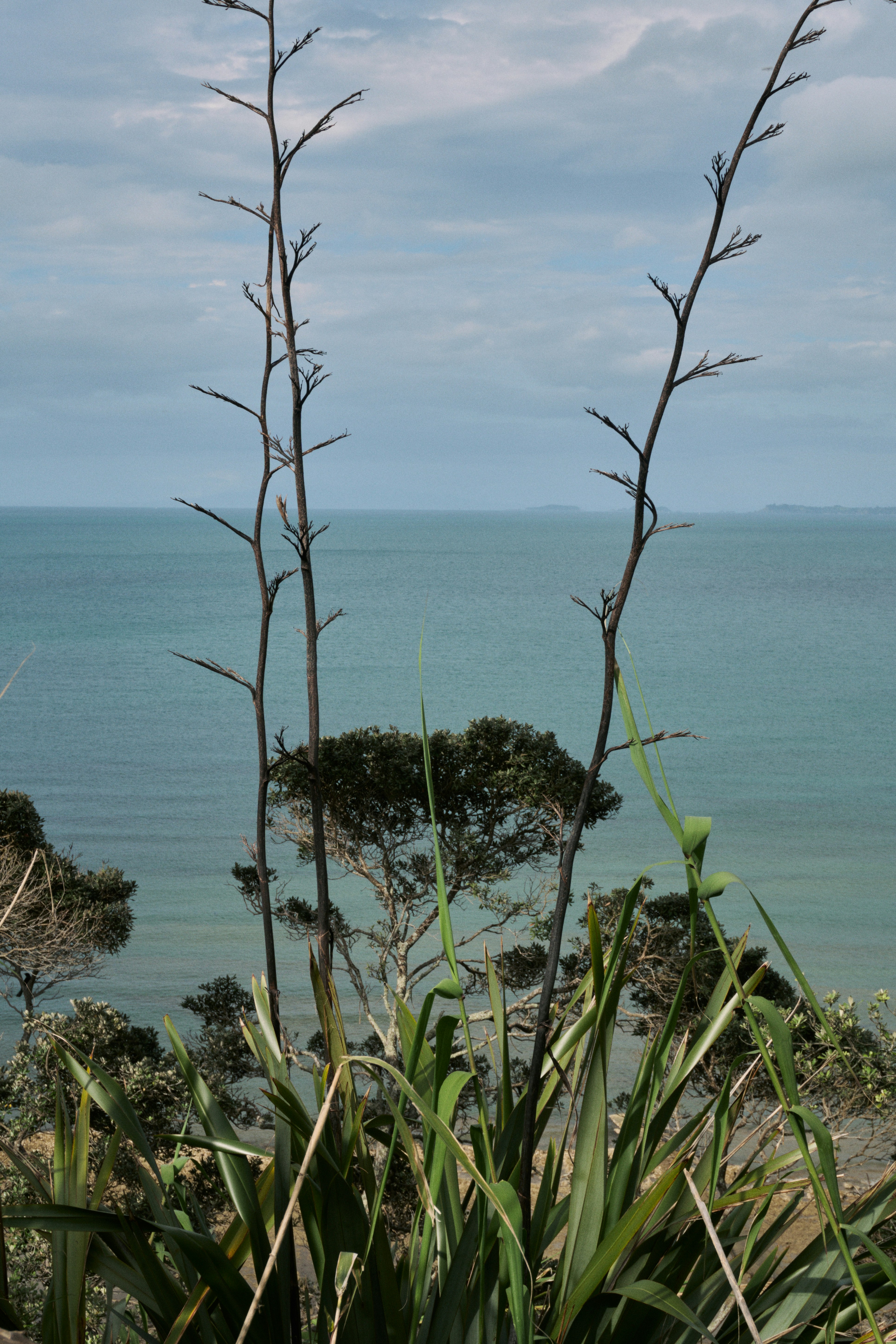 Whispers of the Ocean: A Coastal Serenity