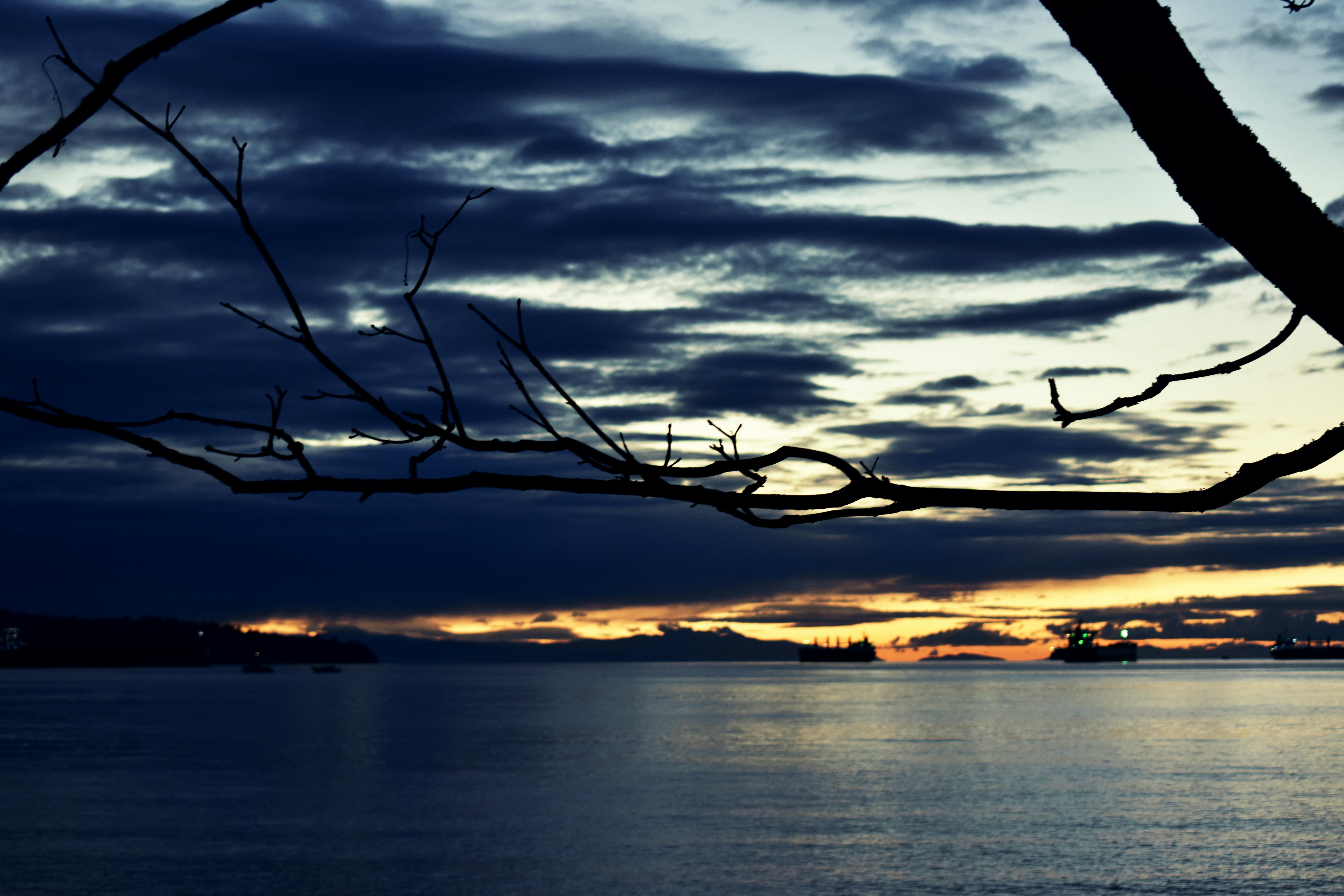 Twilight Reflections: A Dance of Light and Shadow