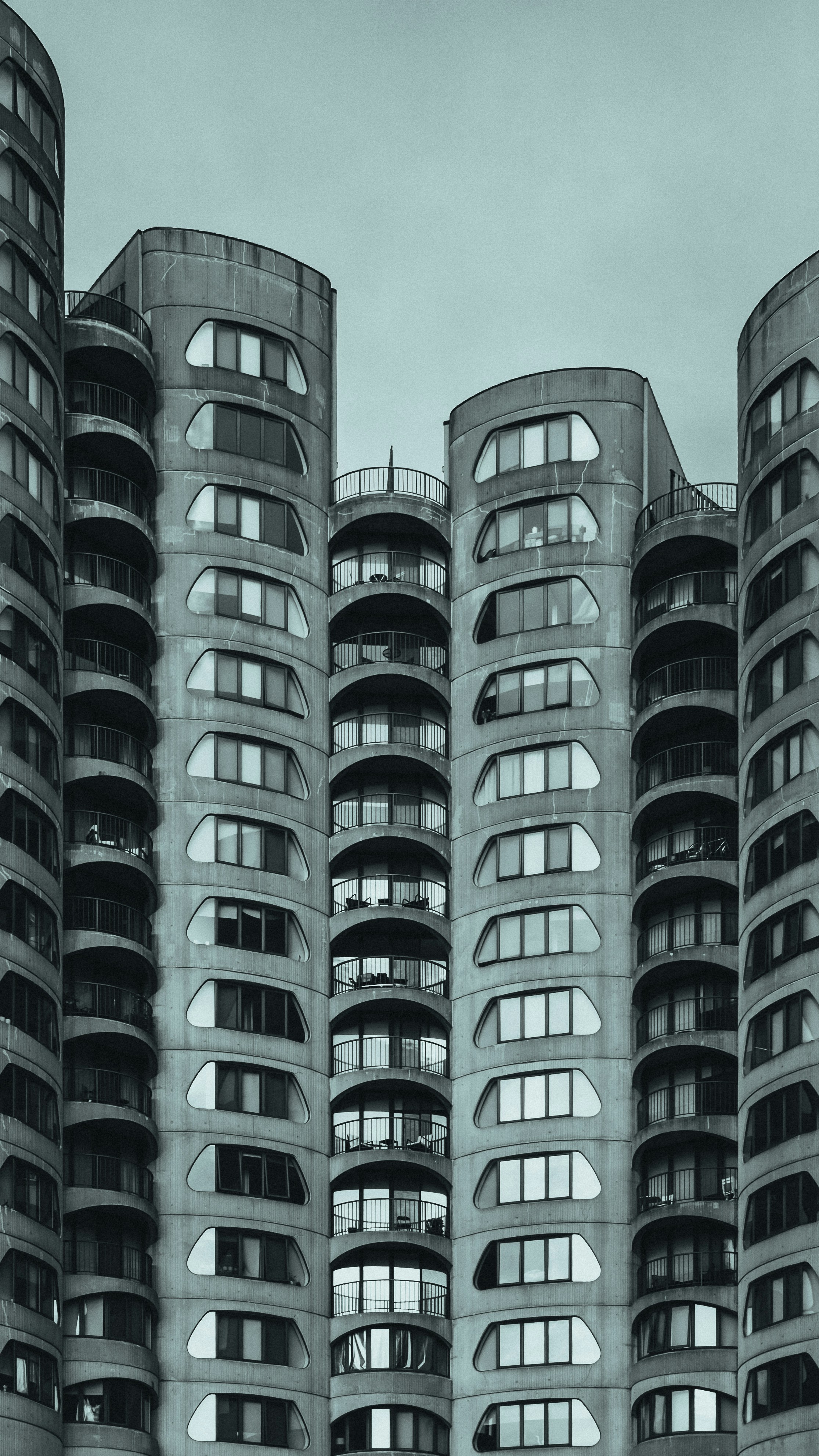 Curved Facades: A Modern Architectural Symphony
