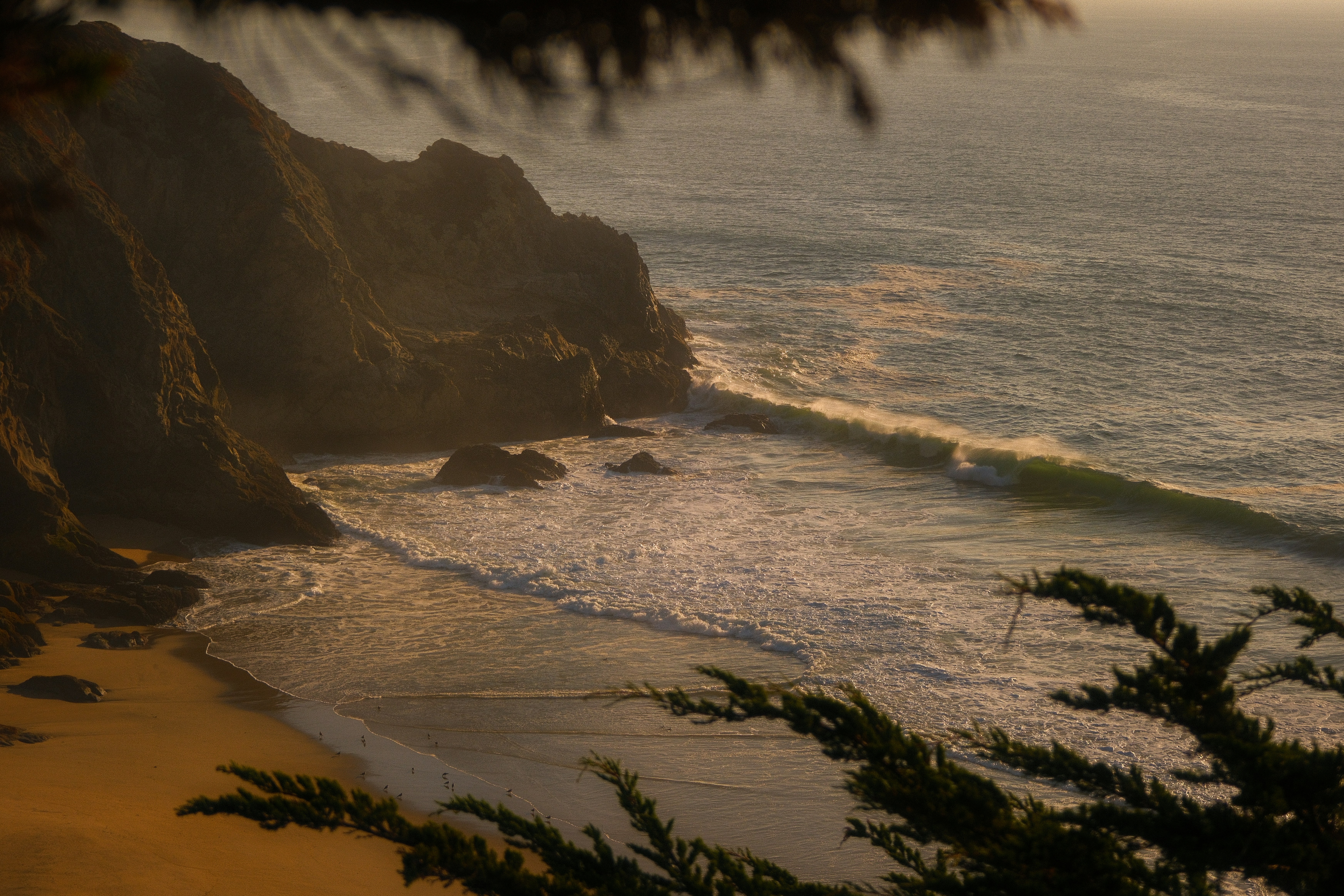 Whispers of the Shoreline