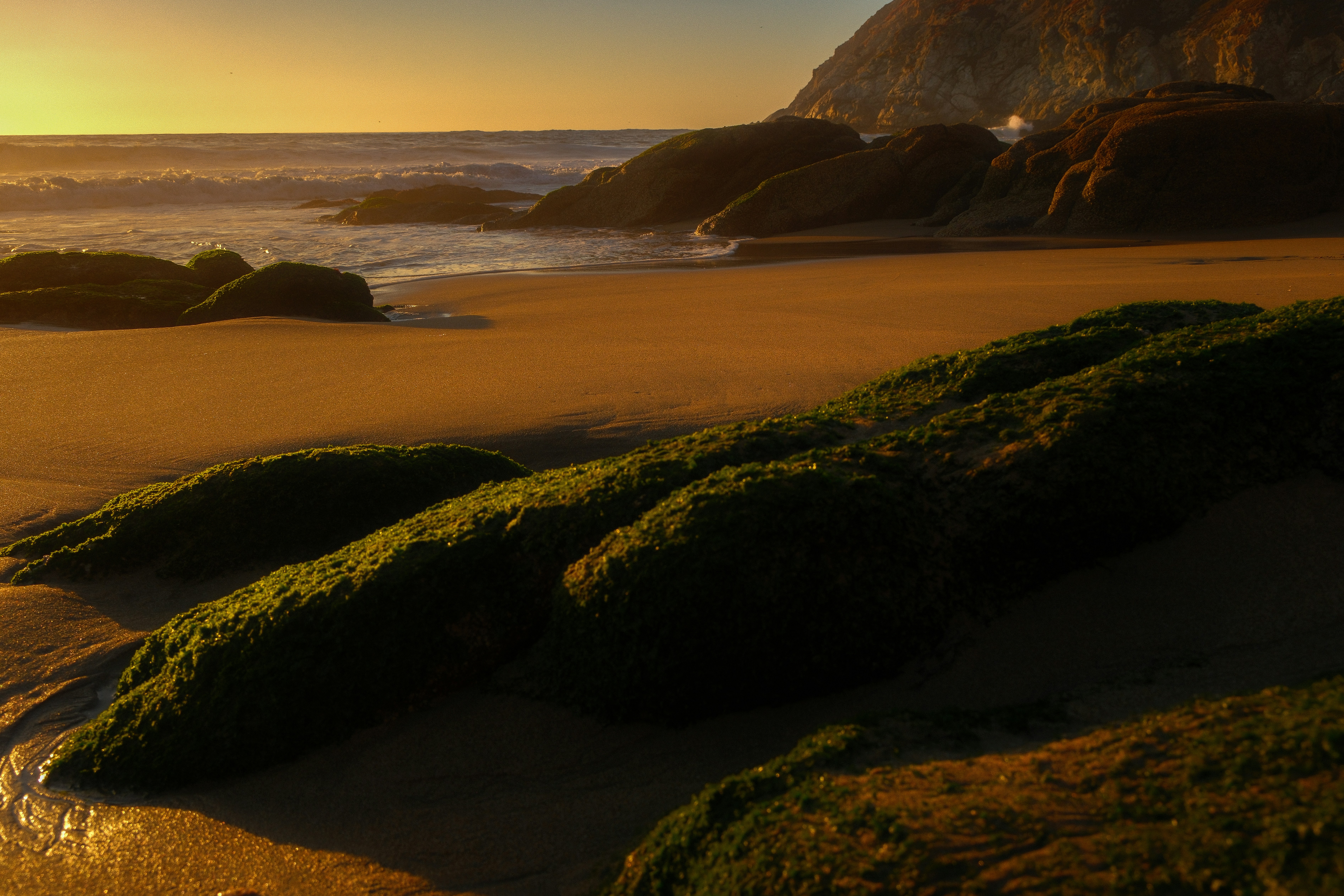 Whispers of the Tidal Shoreline