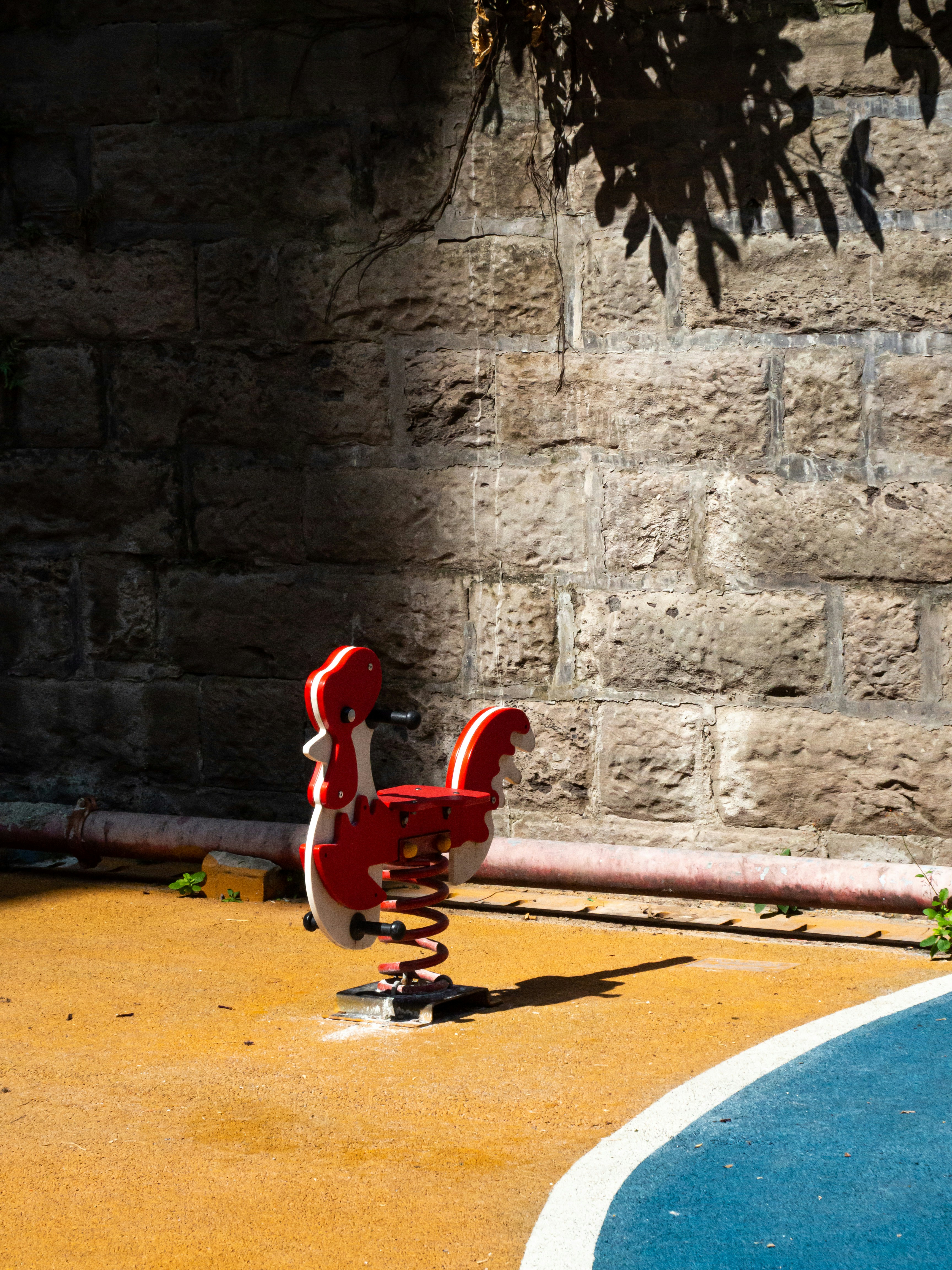 Whimsical Playtime: A Rooster's Spring Adventure