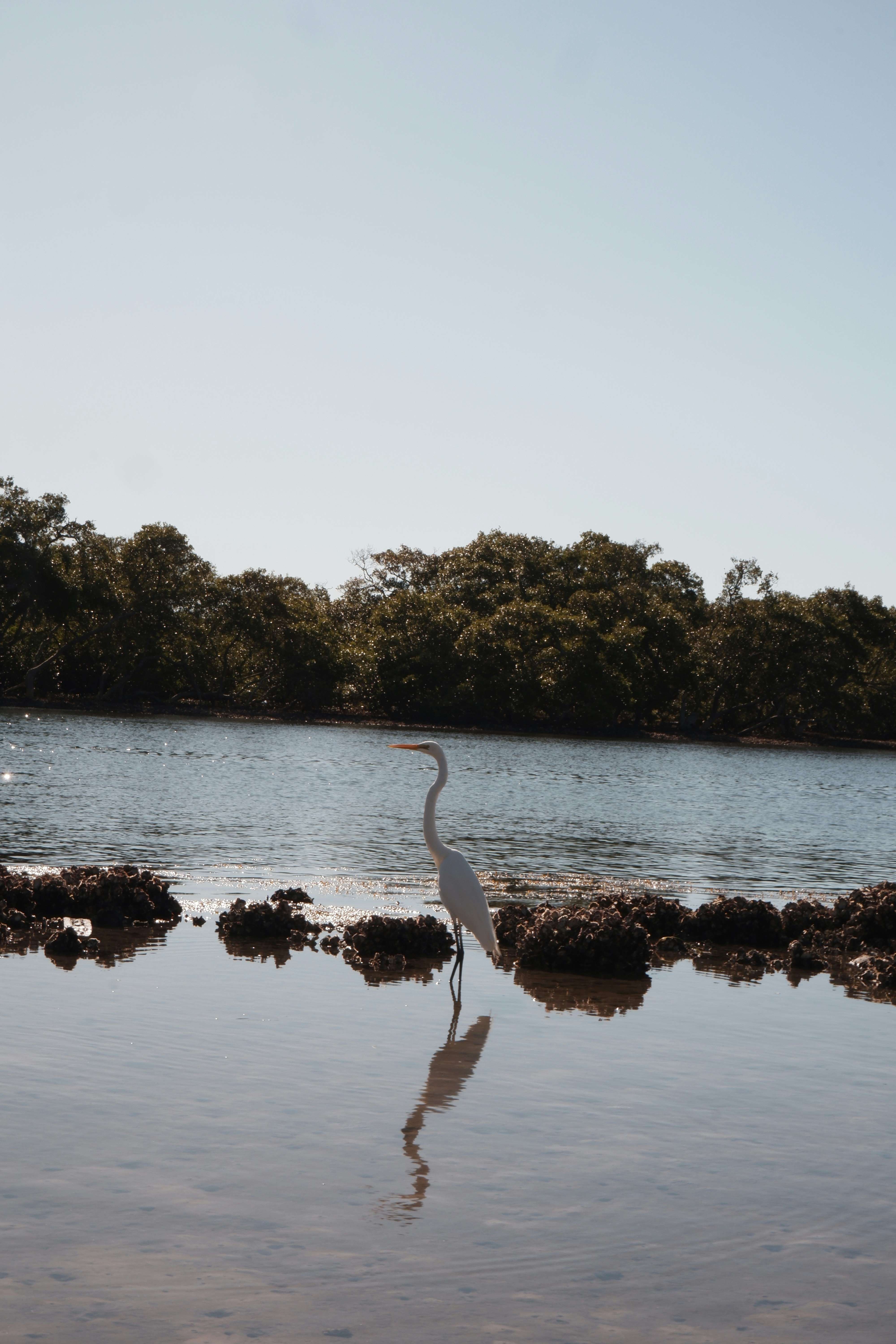 Elegance by the Water's Edge