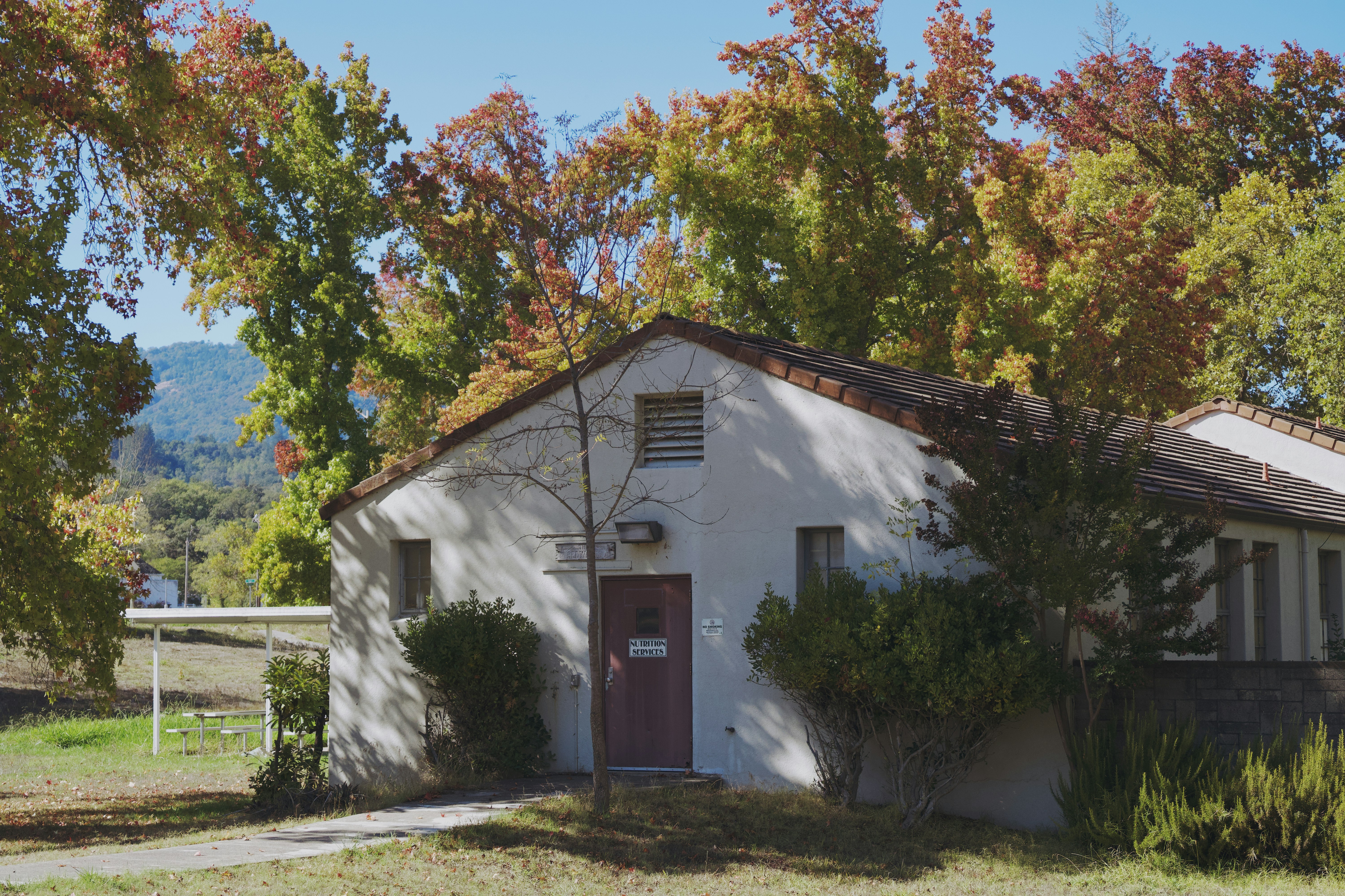 Sunlit White Cottage Framed by Autumn Foliage in a Quiet Yard