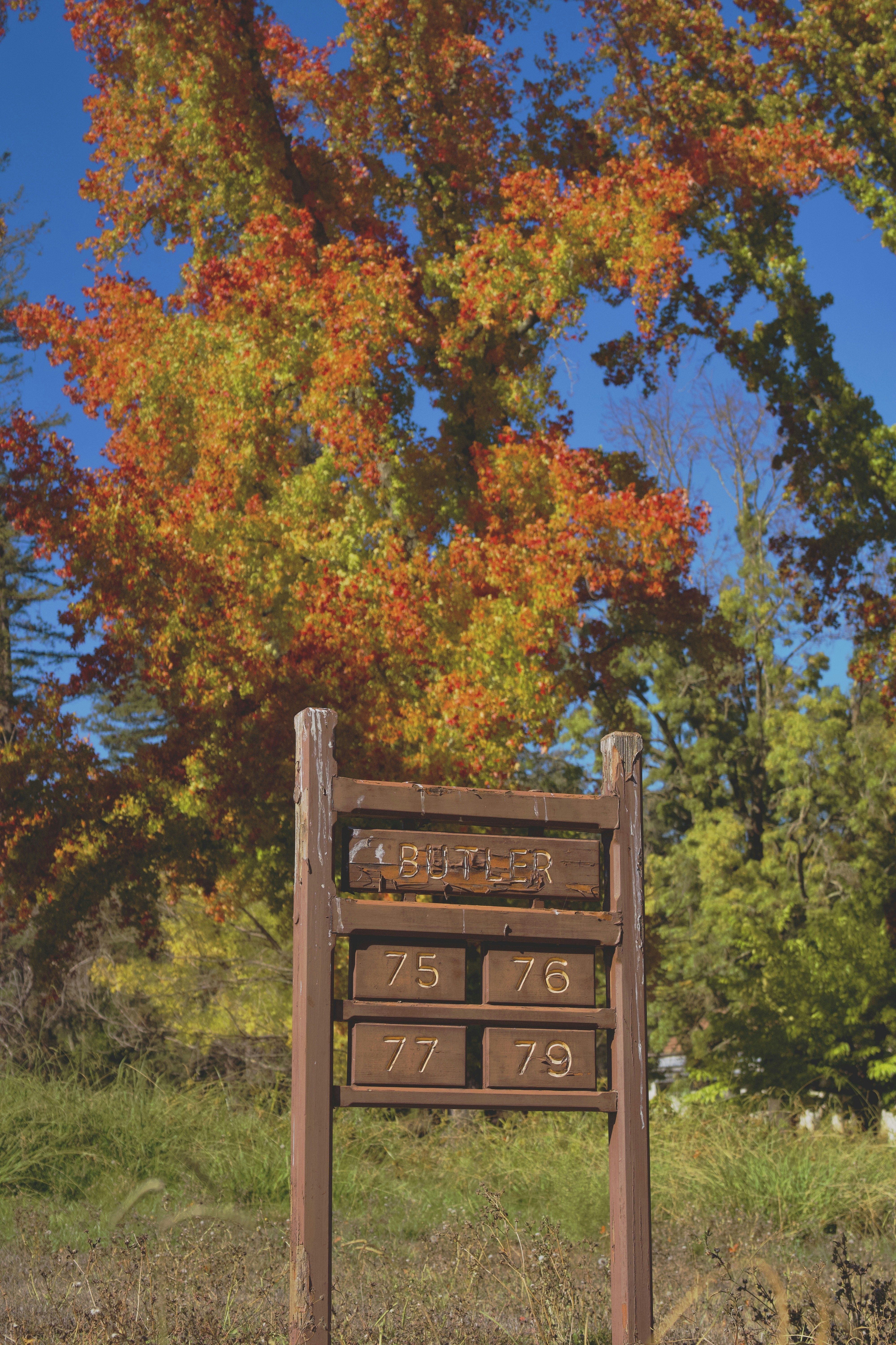Weathered signpost displaying house numbers beneath a vibrant display of autumn foliage.