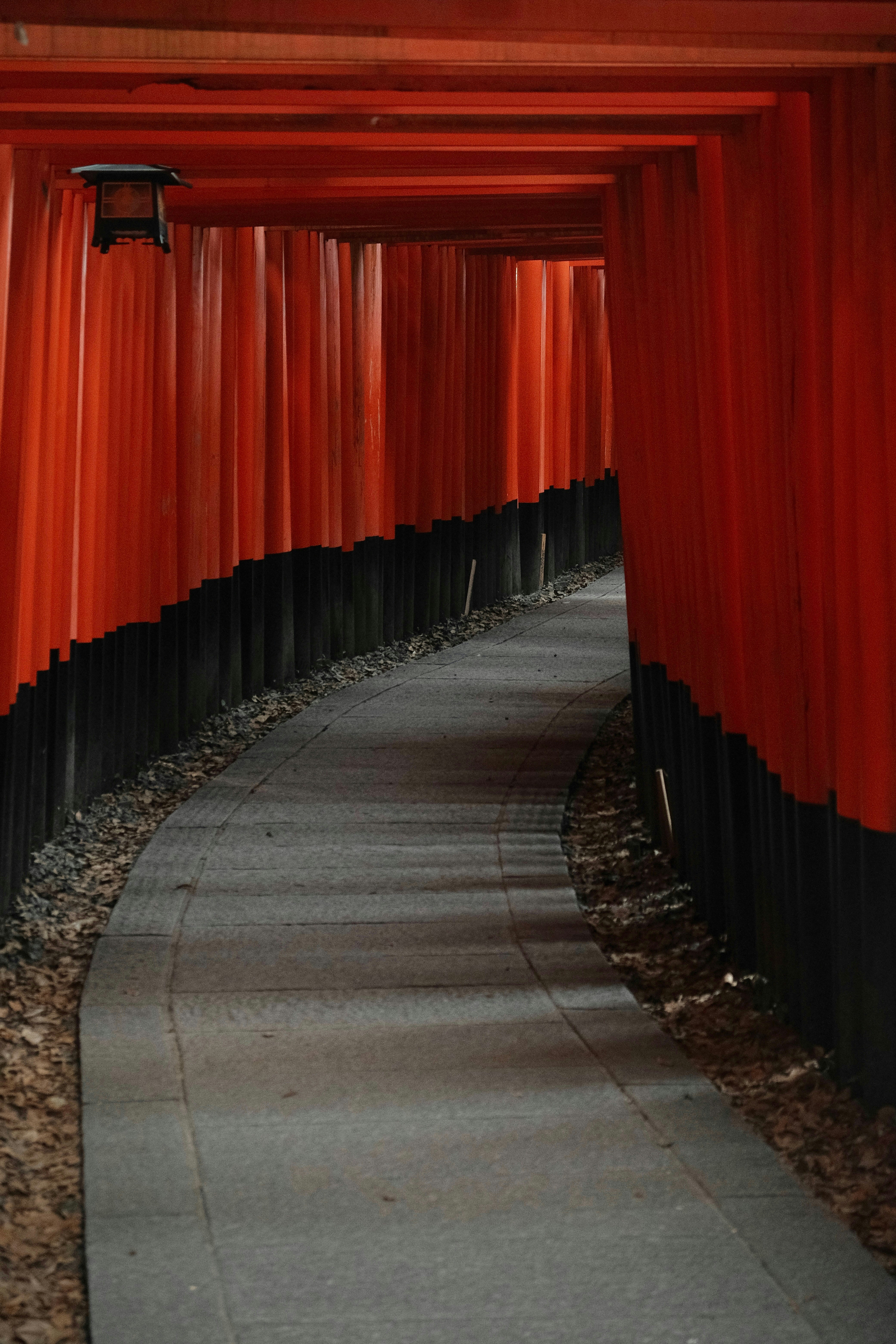 Red torii gates line a winding path.