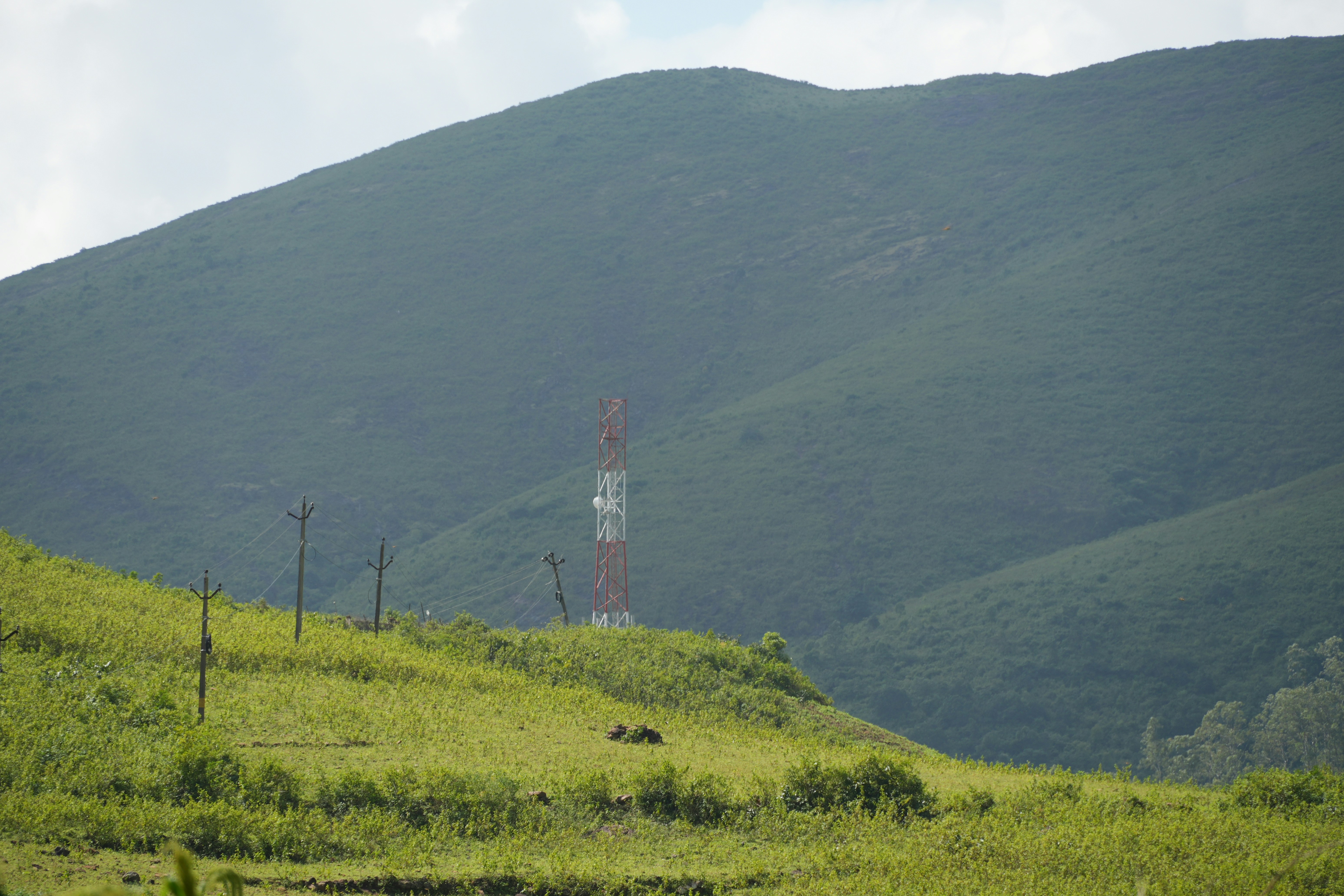 Silent Sentinel of the Hills