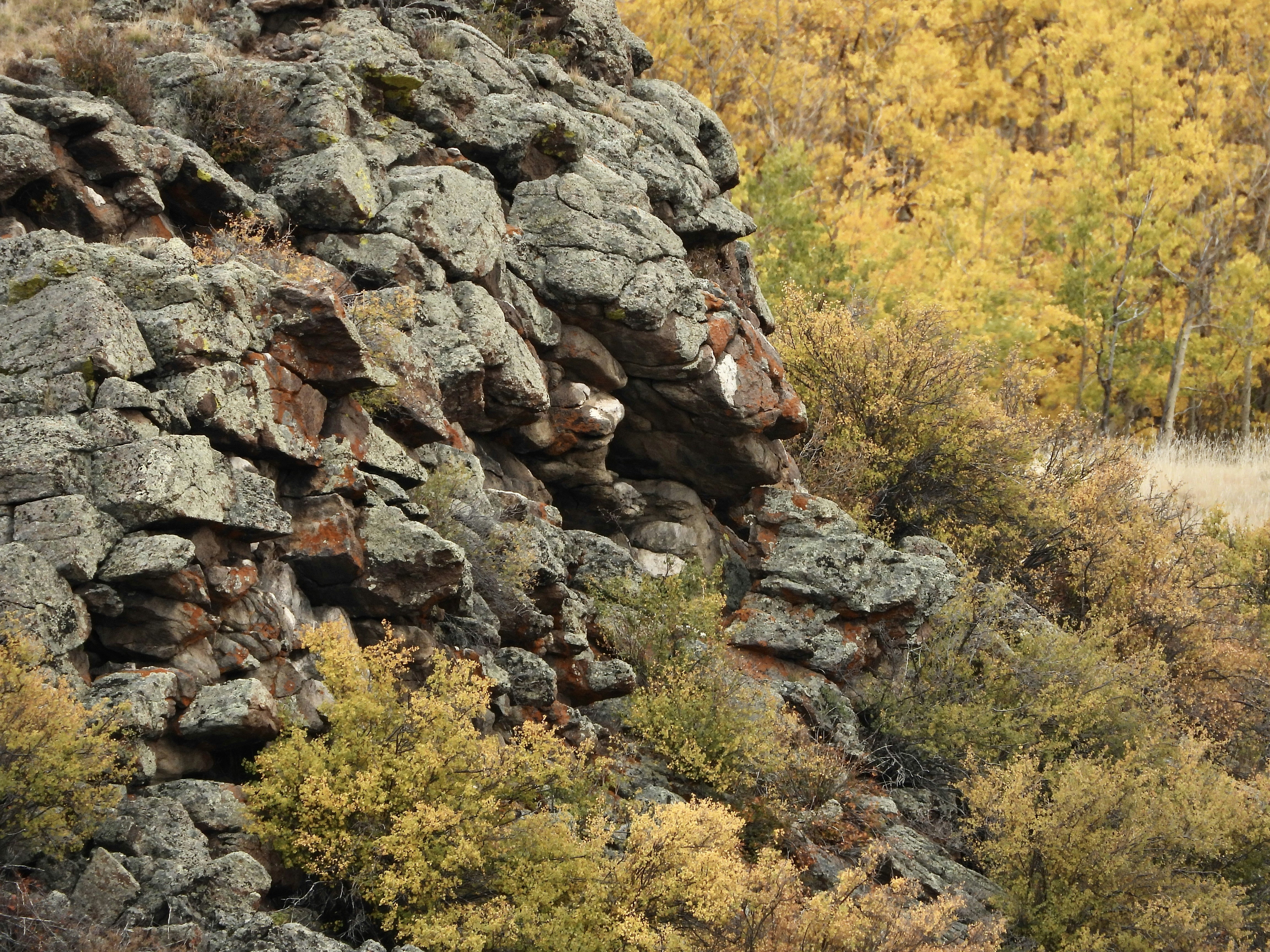 Intricate rock formations juxtaposed with vibrant autumn foliage, showcasing nature's textures and colors.