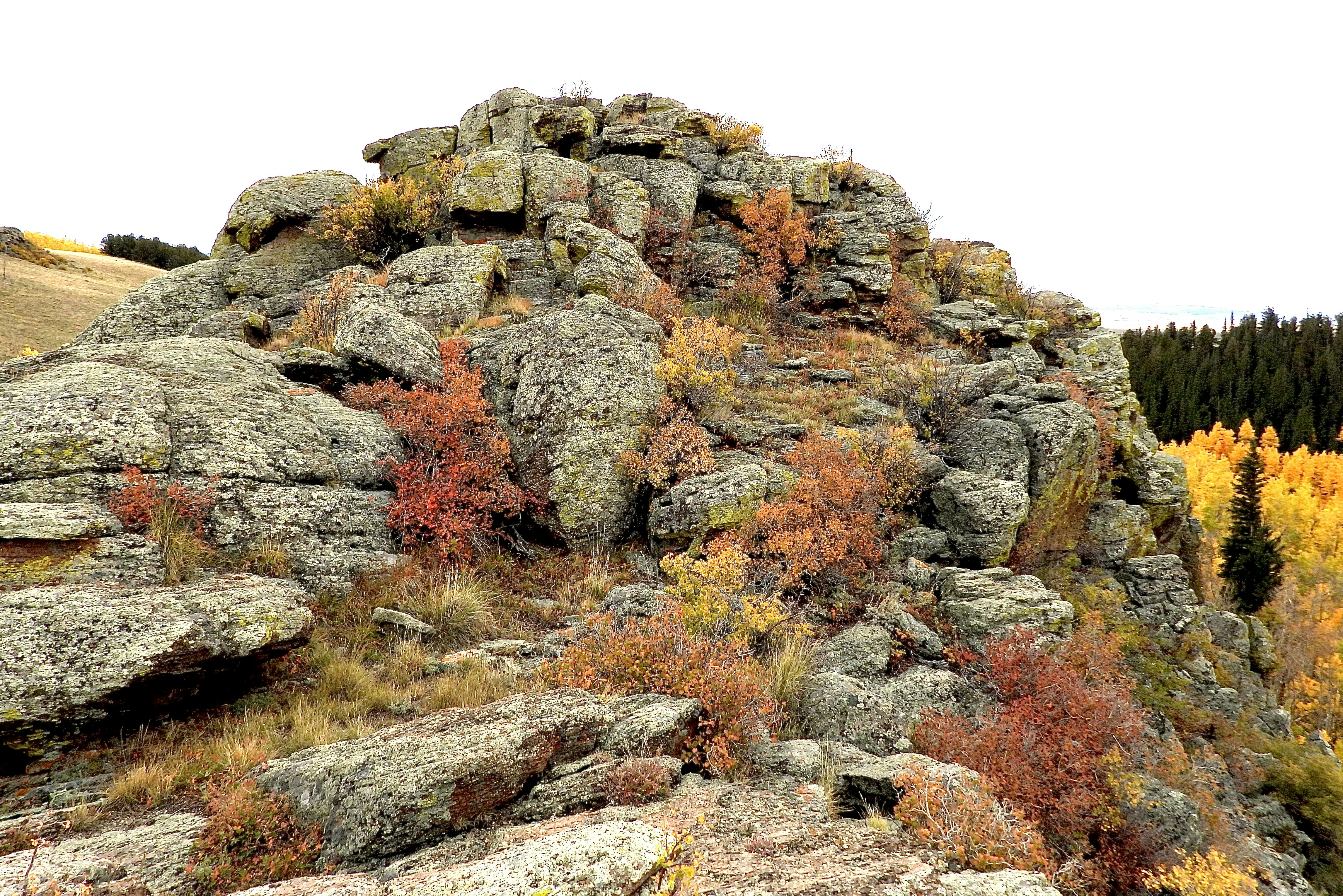 Autumn's Embrace on Rocky Outcrop
