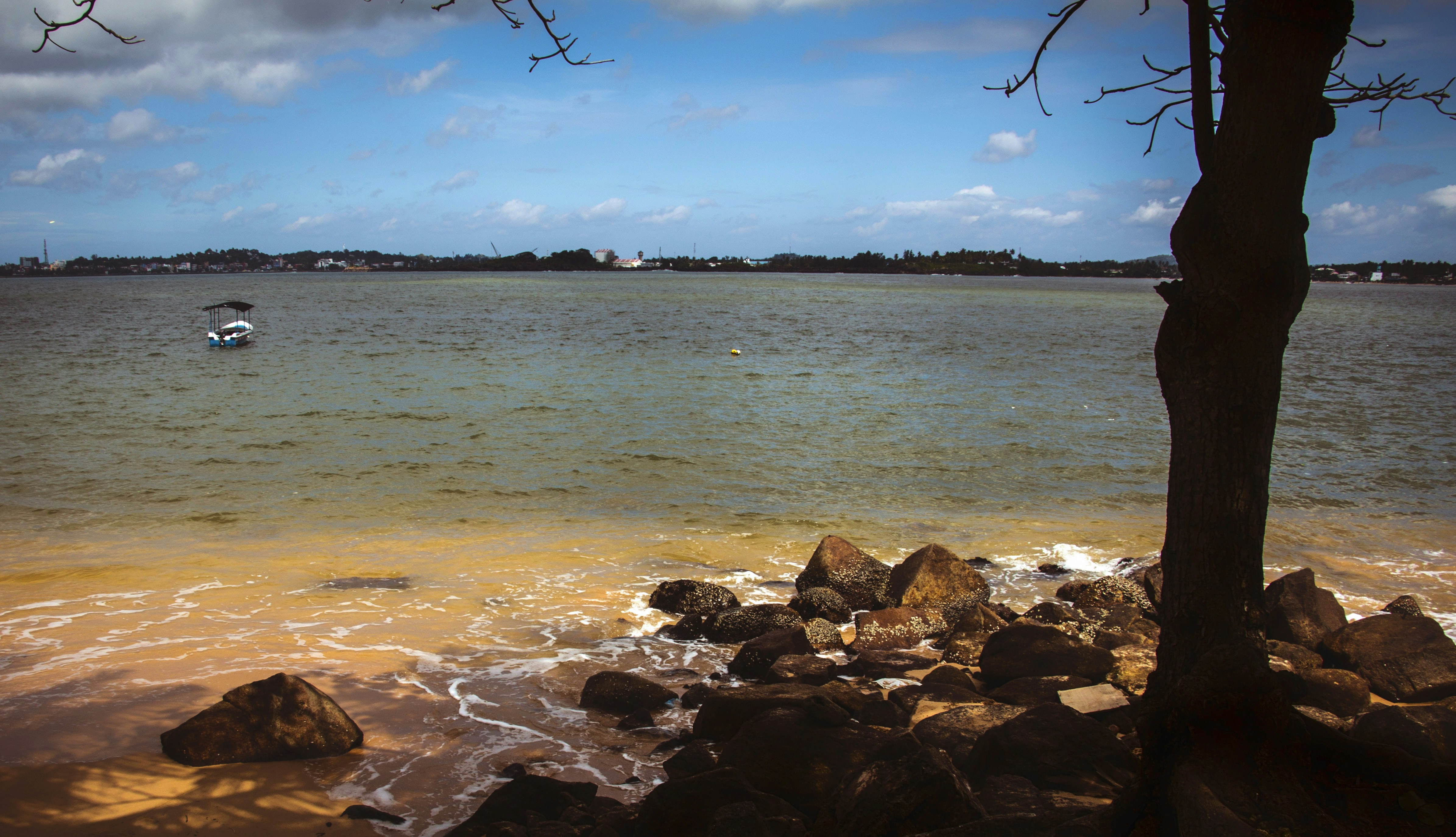 Serenity by the Shoreline