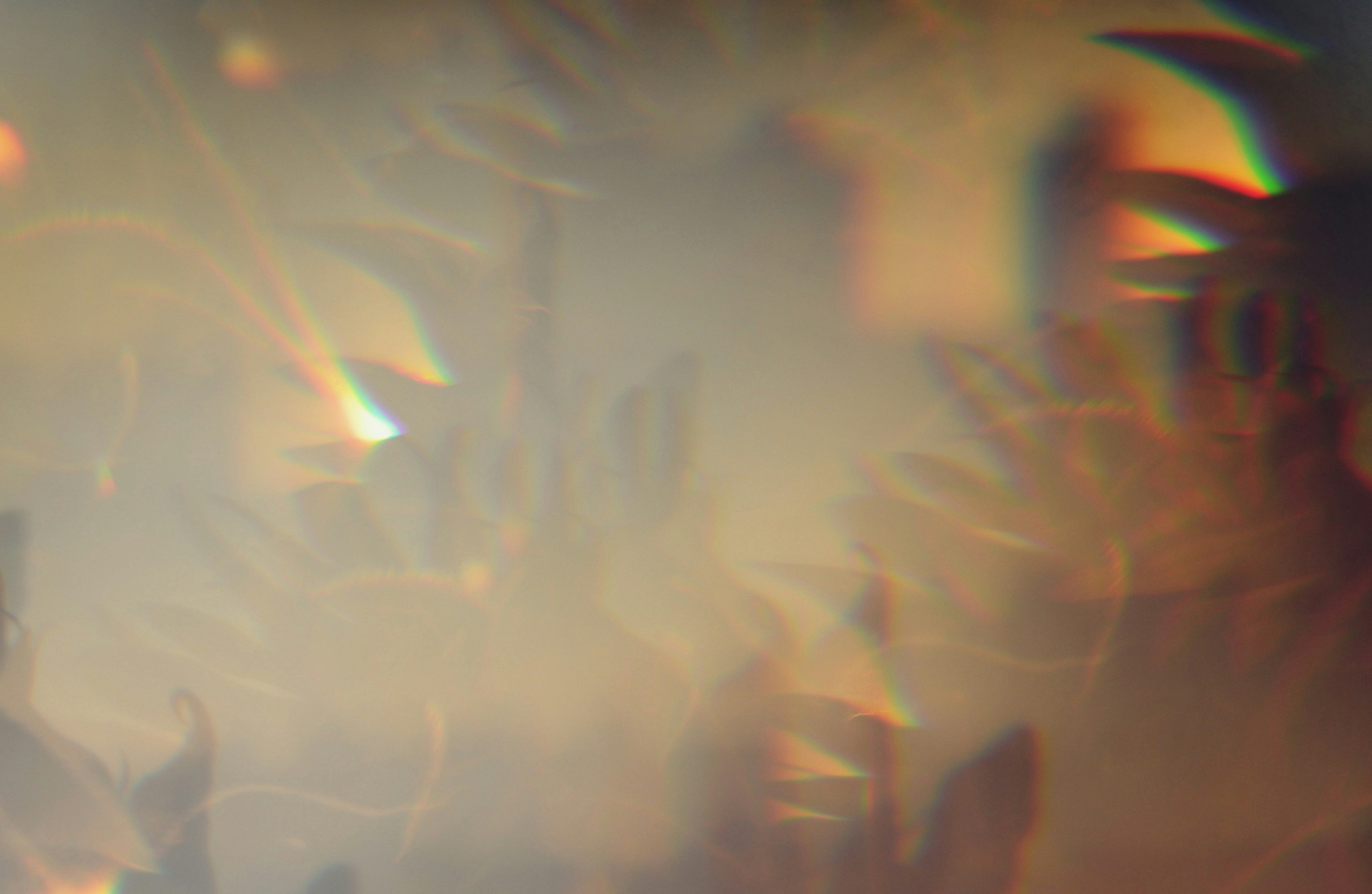 Abstract representation of foliage with ethereal light reflections, creating a dreamlike atmosphere.