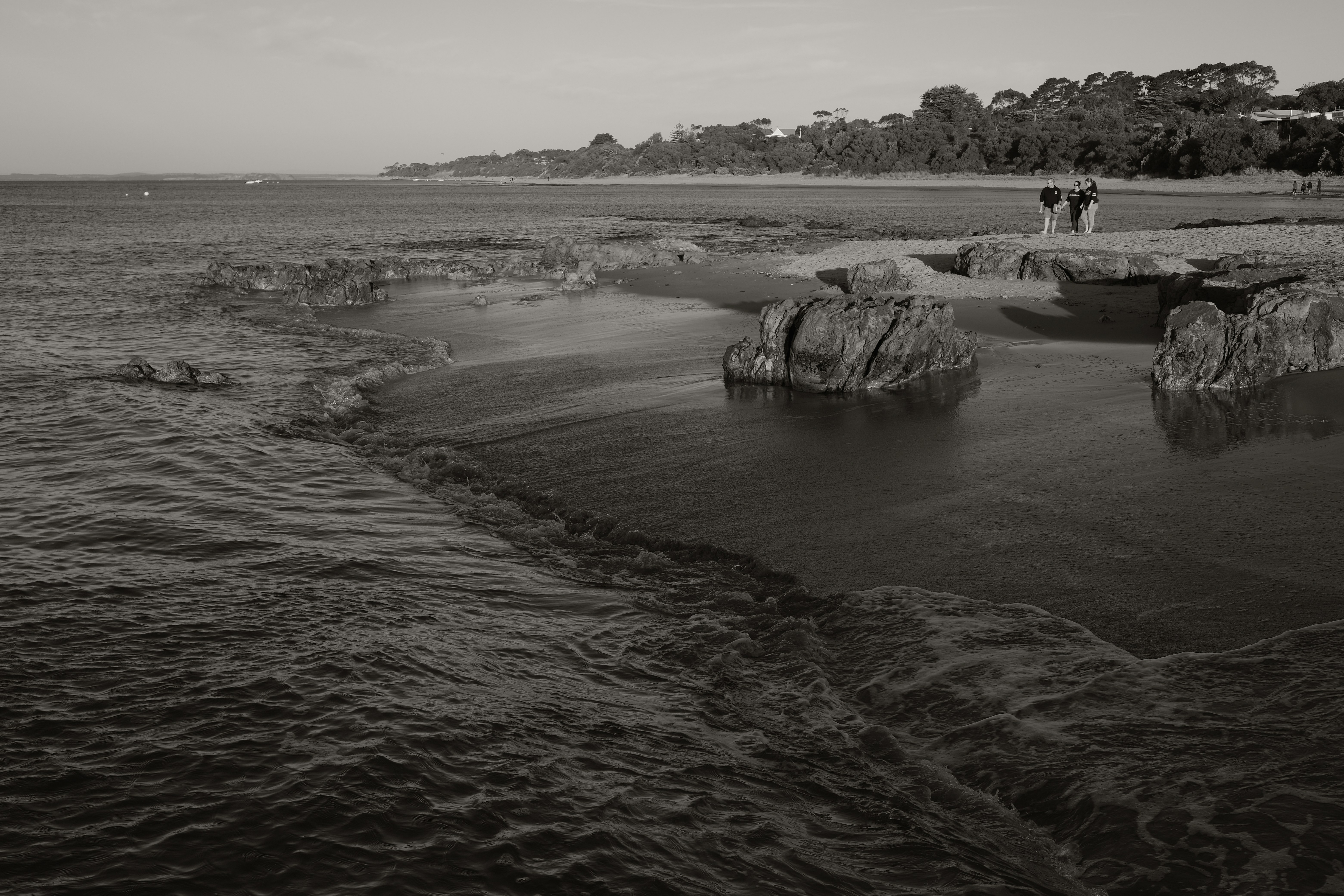 Whispers of the Shoreline