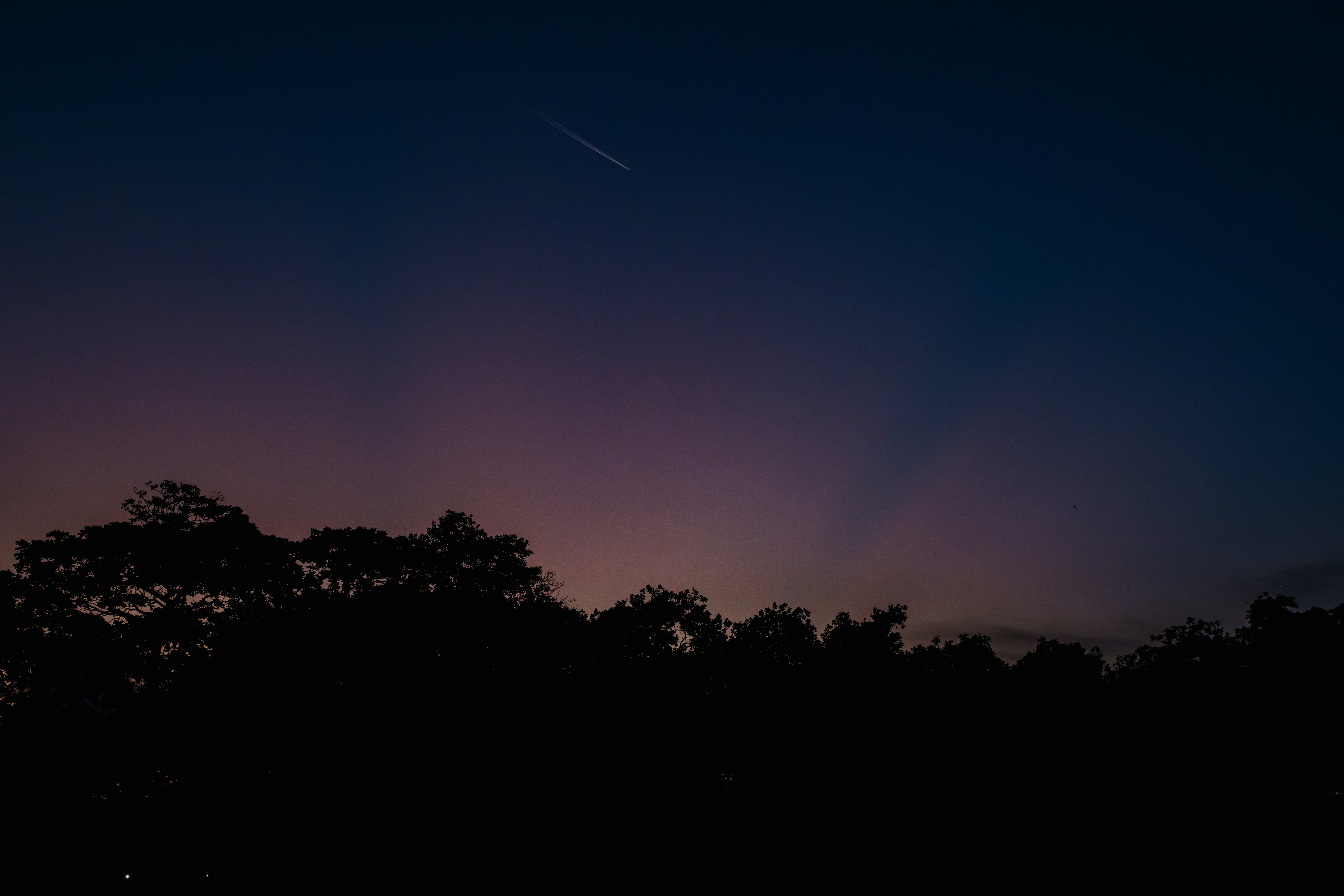 Dark silhouette of trees against twilight sky