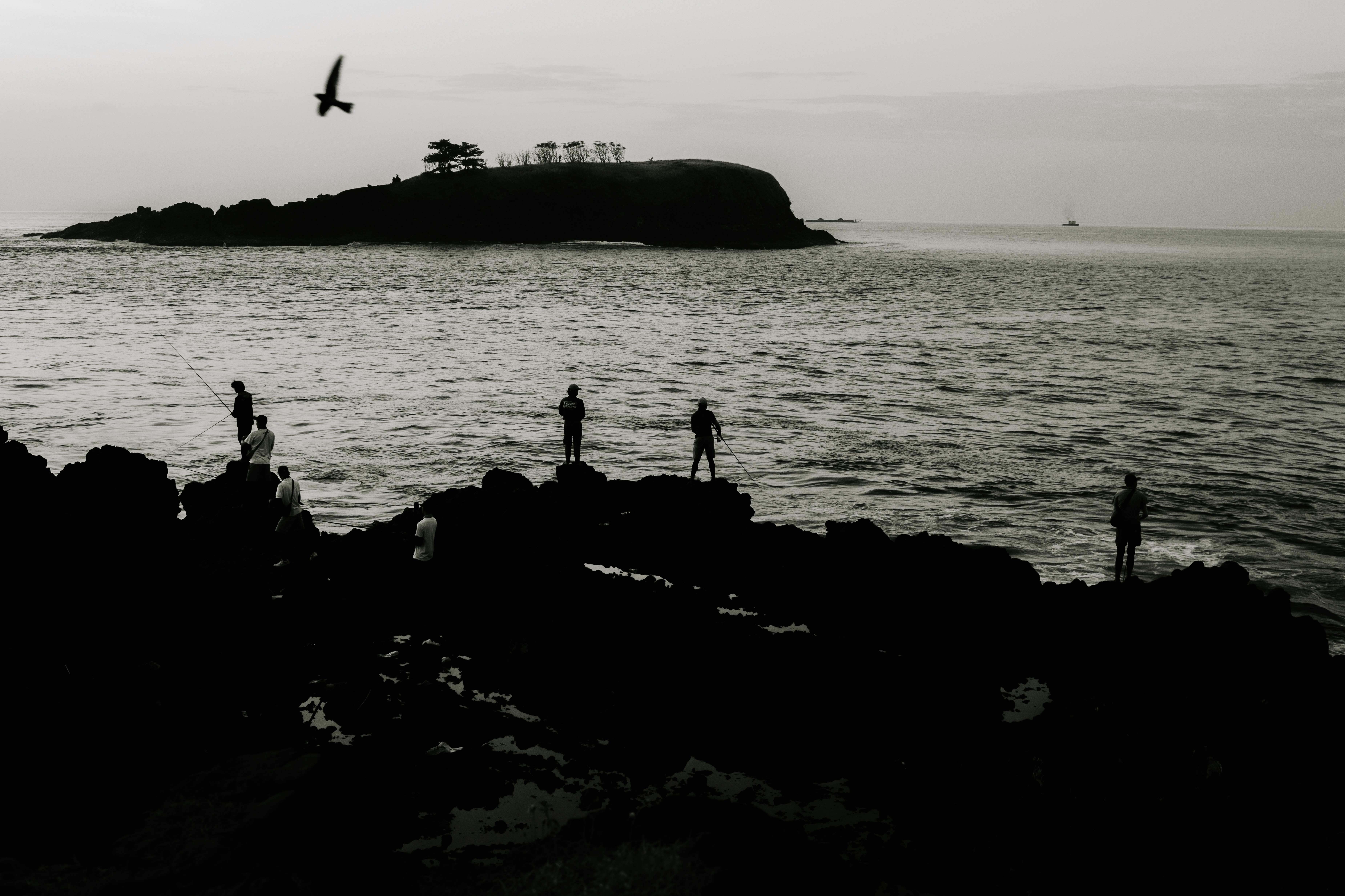 Silhouettes of Solitude Against the Tide