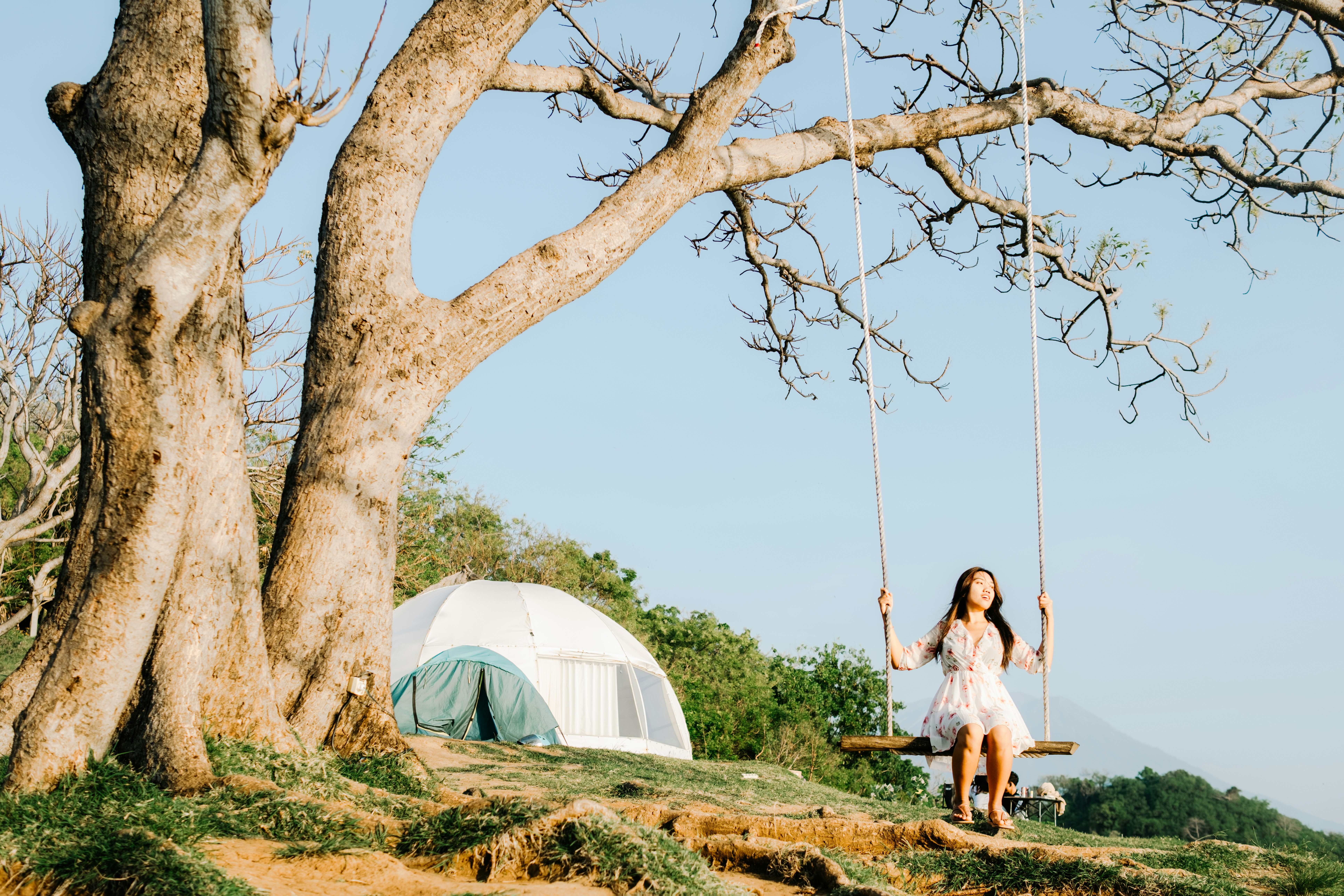 Whispers of Serenity: A Moment on the Swing