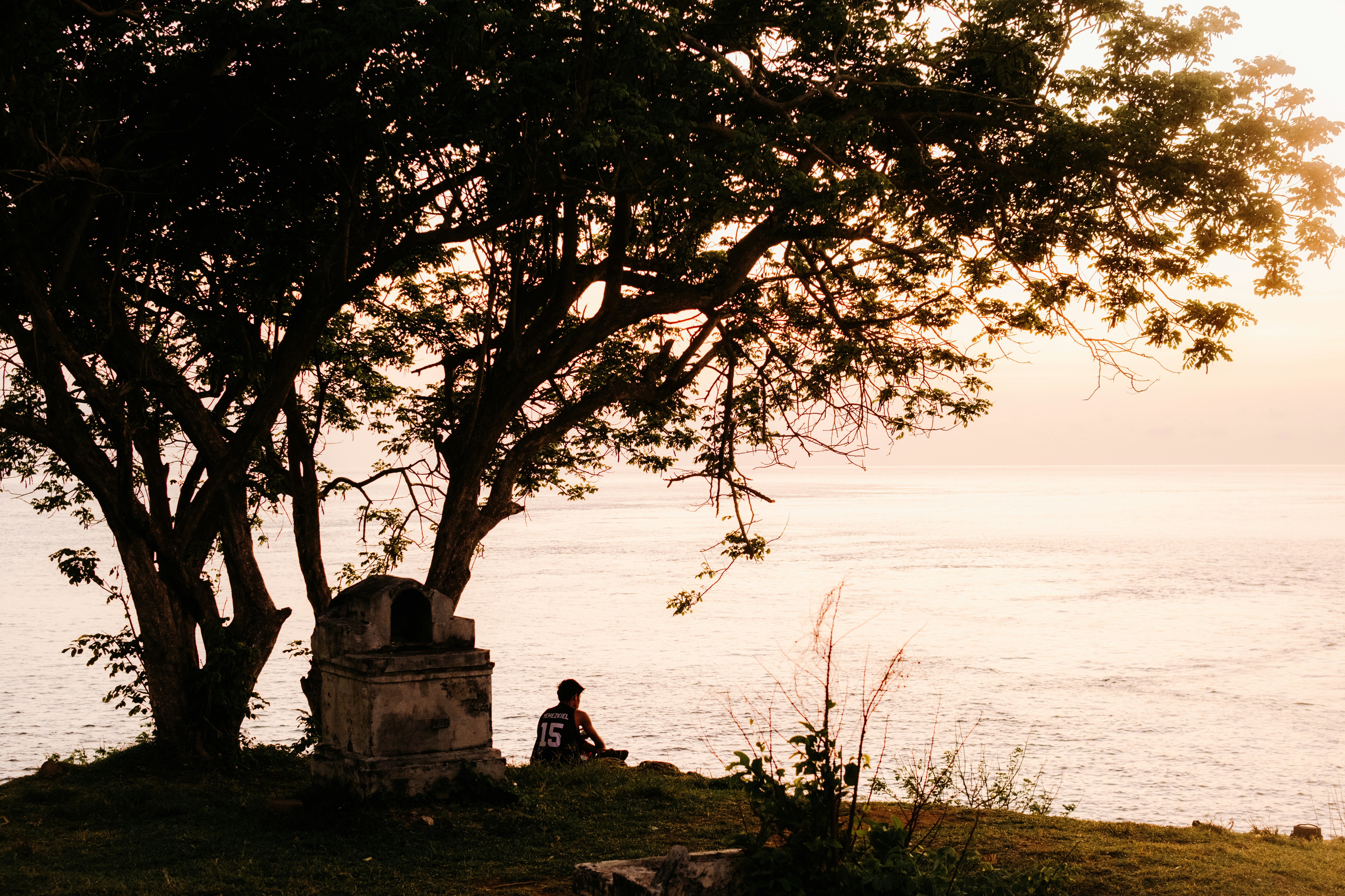 Man sitting under a tree by the water