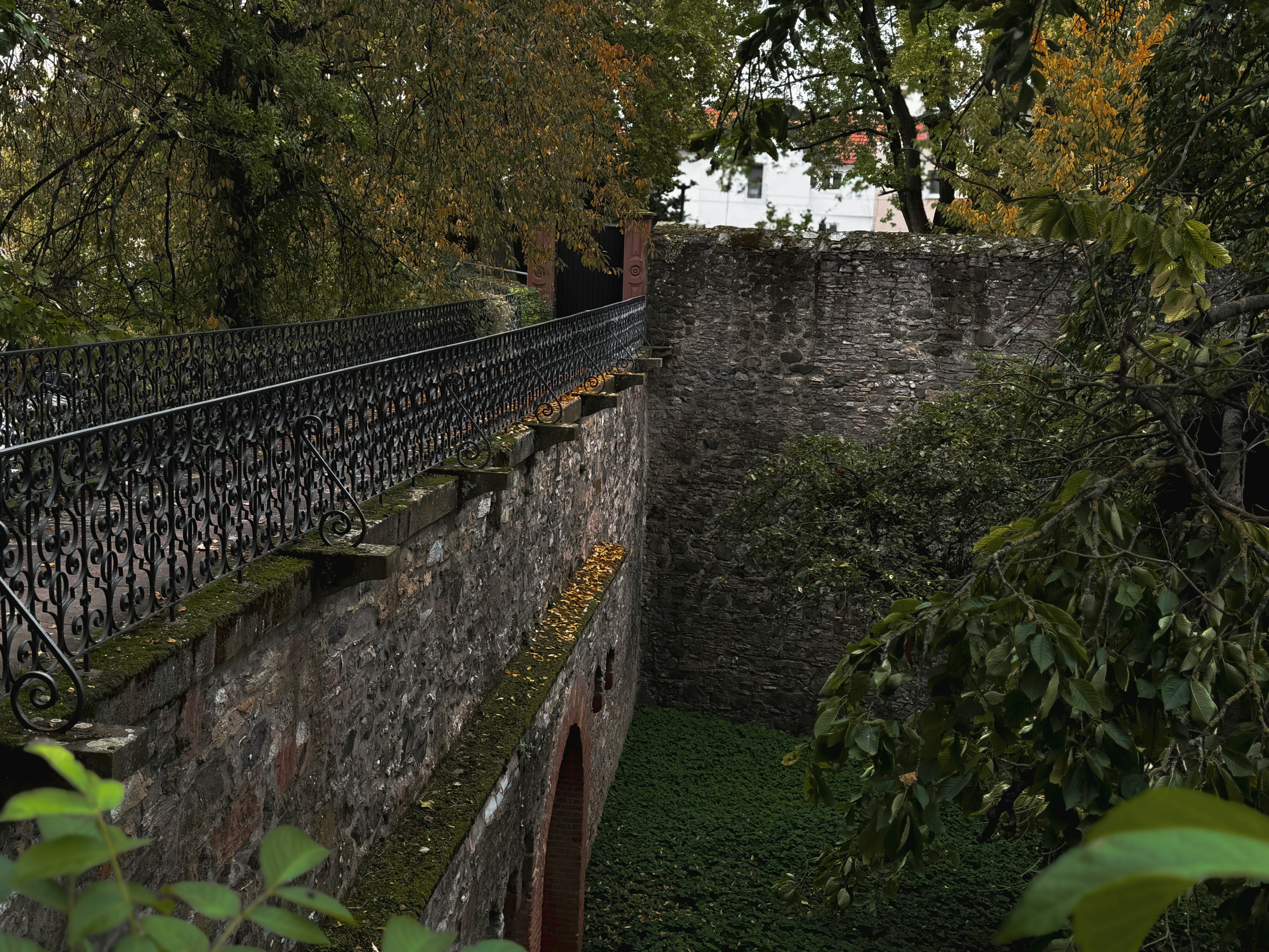 Whispers of Time: A Hidden Garden Retreat