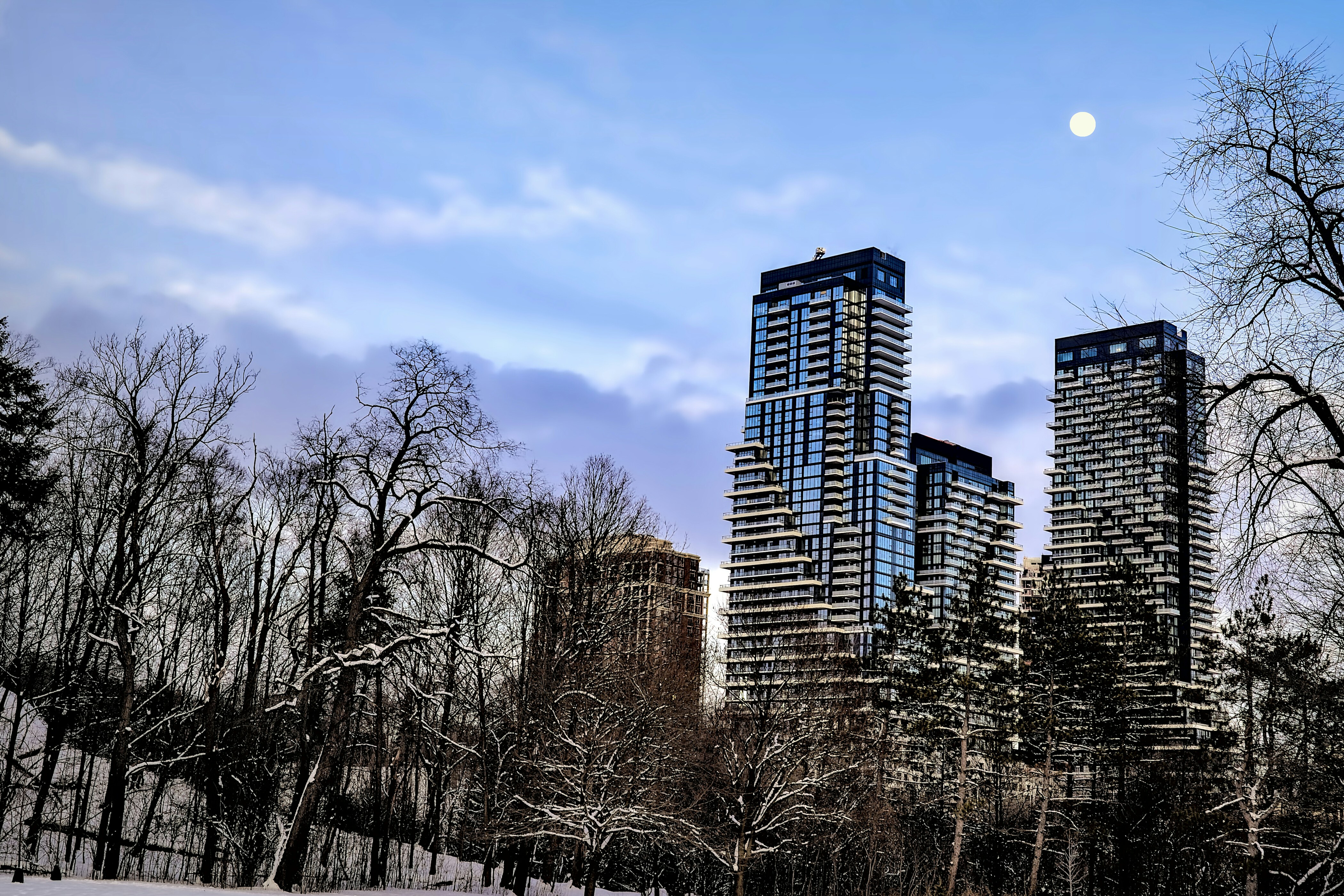 Modern skyscrapers rise above a snowy winter park.
