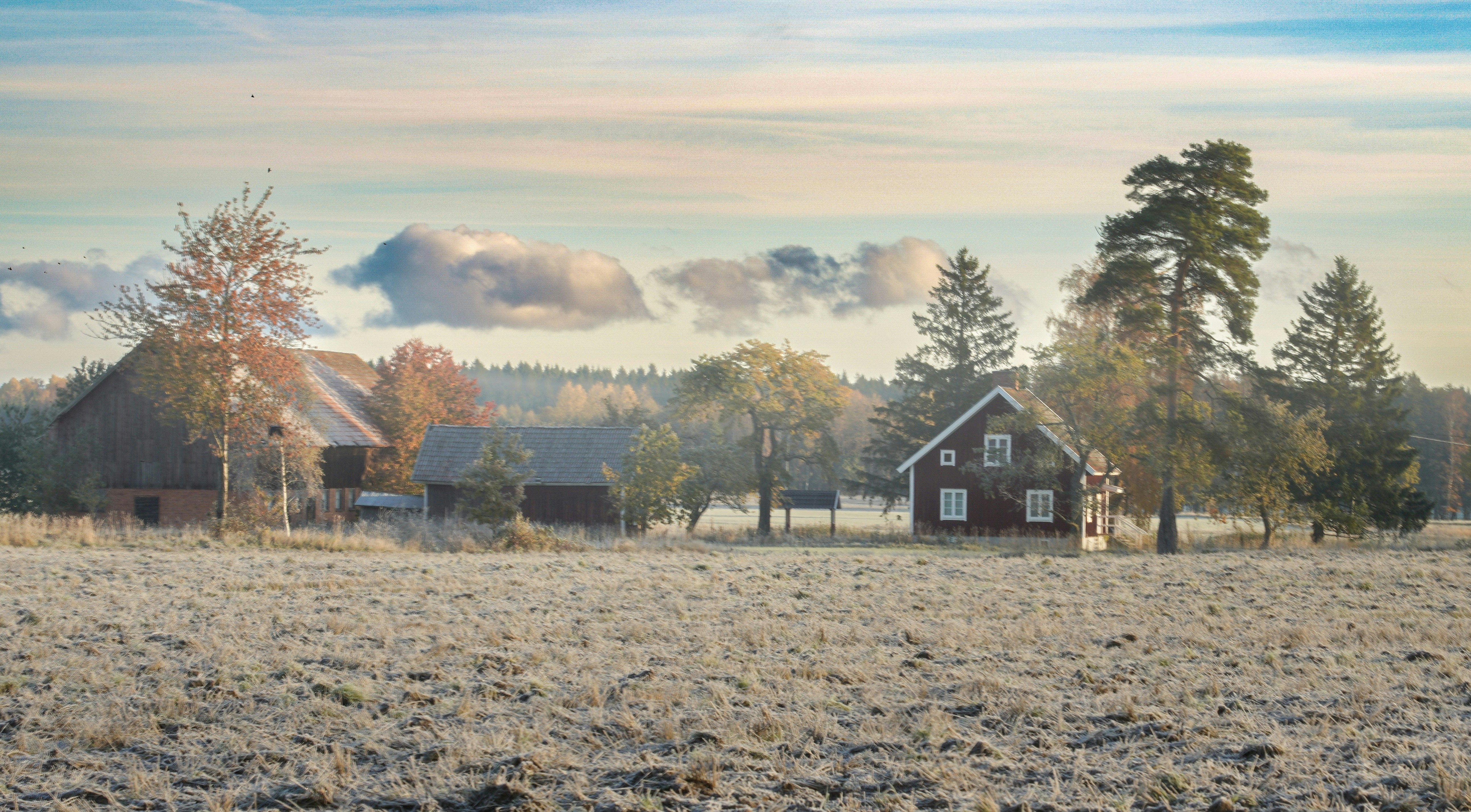 Whispers of Autumn: A Rustic Homestead