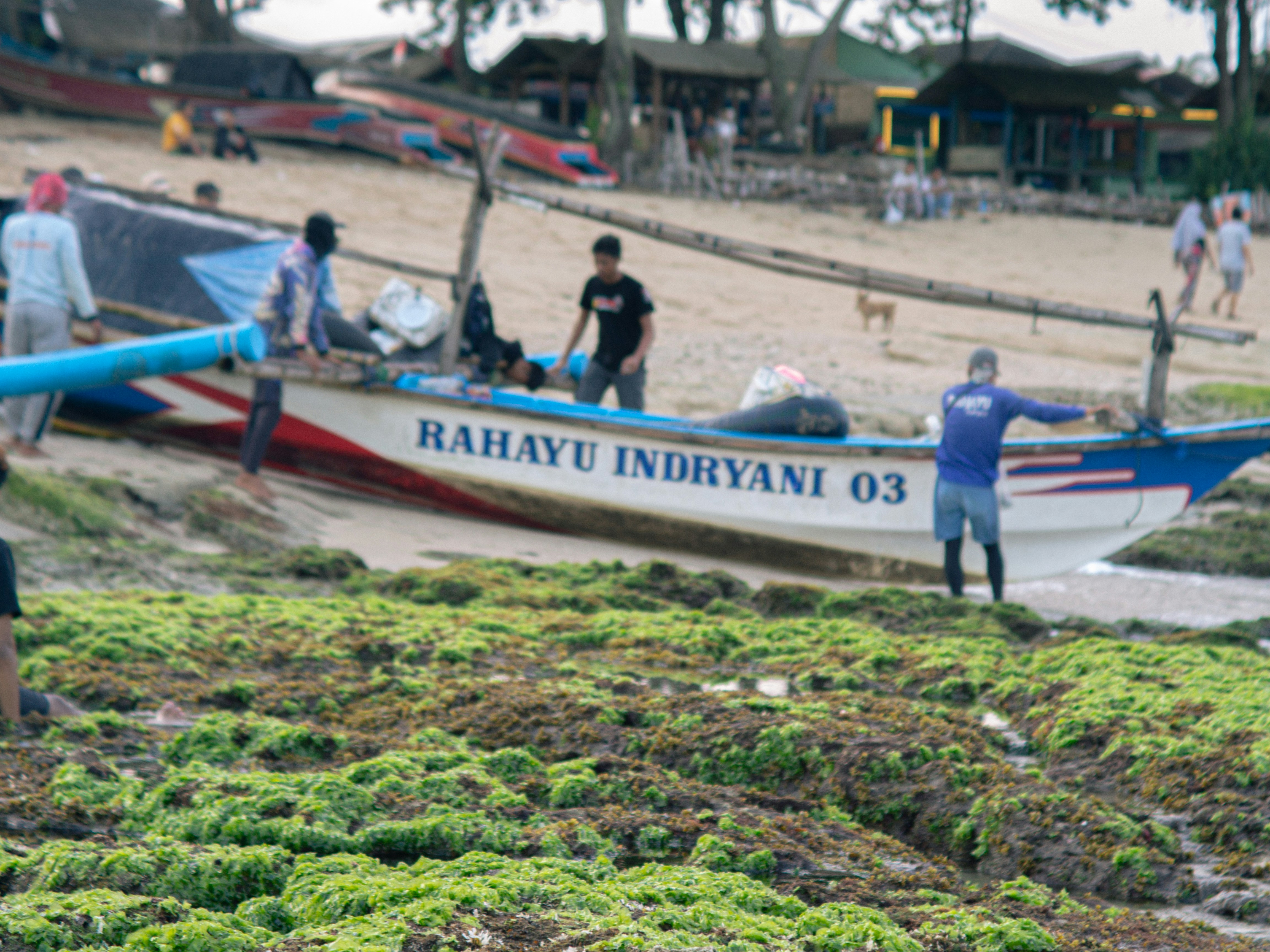 OLYMPUS DIGITAL CAMERA | Fishermen preparing a boat on a rocky, seaweed-covered shore.