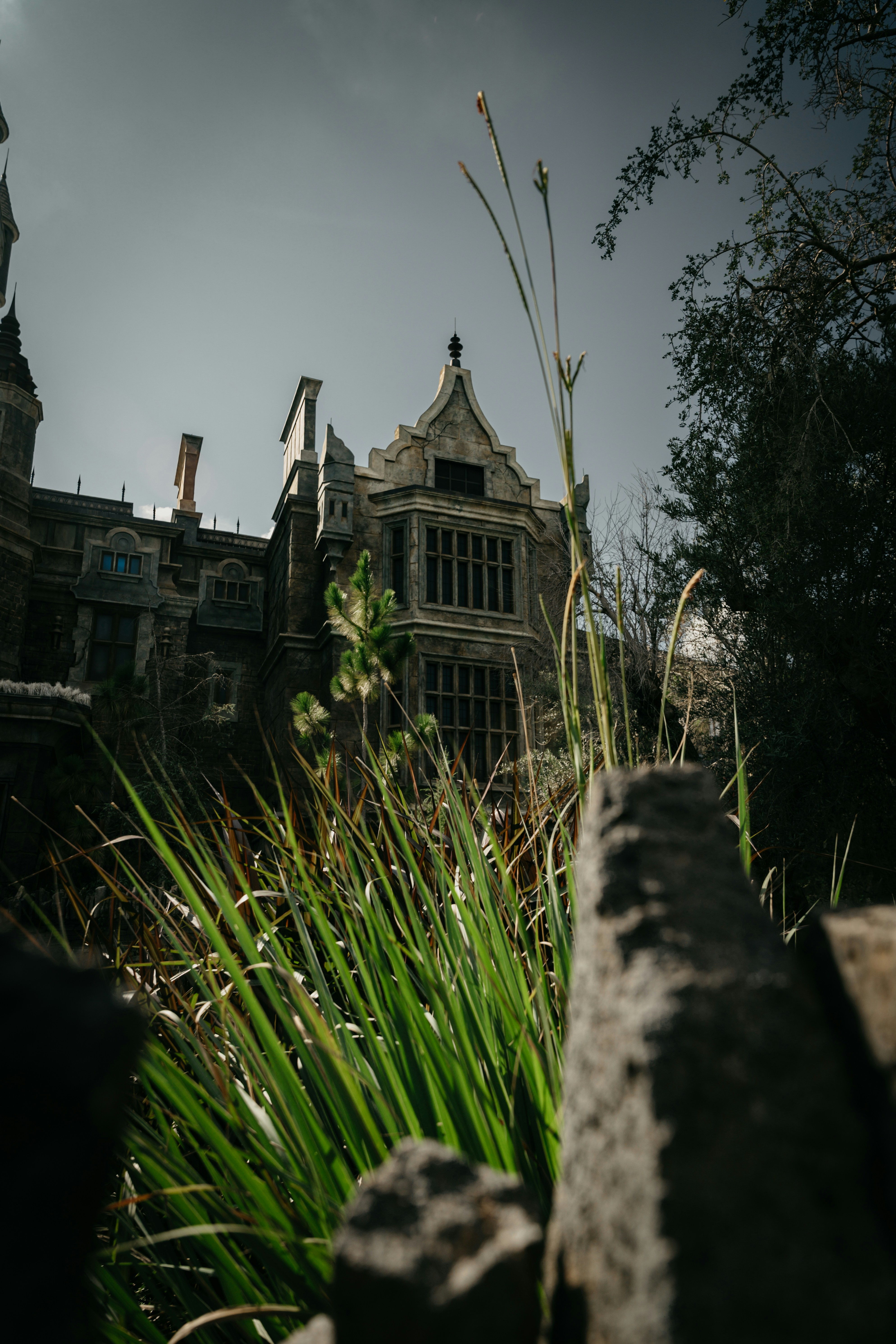 Whispers of the Forgotten Manor