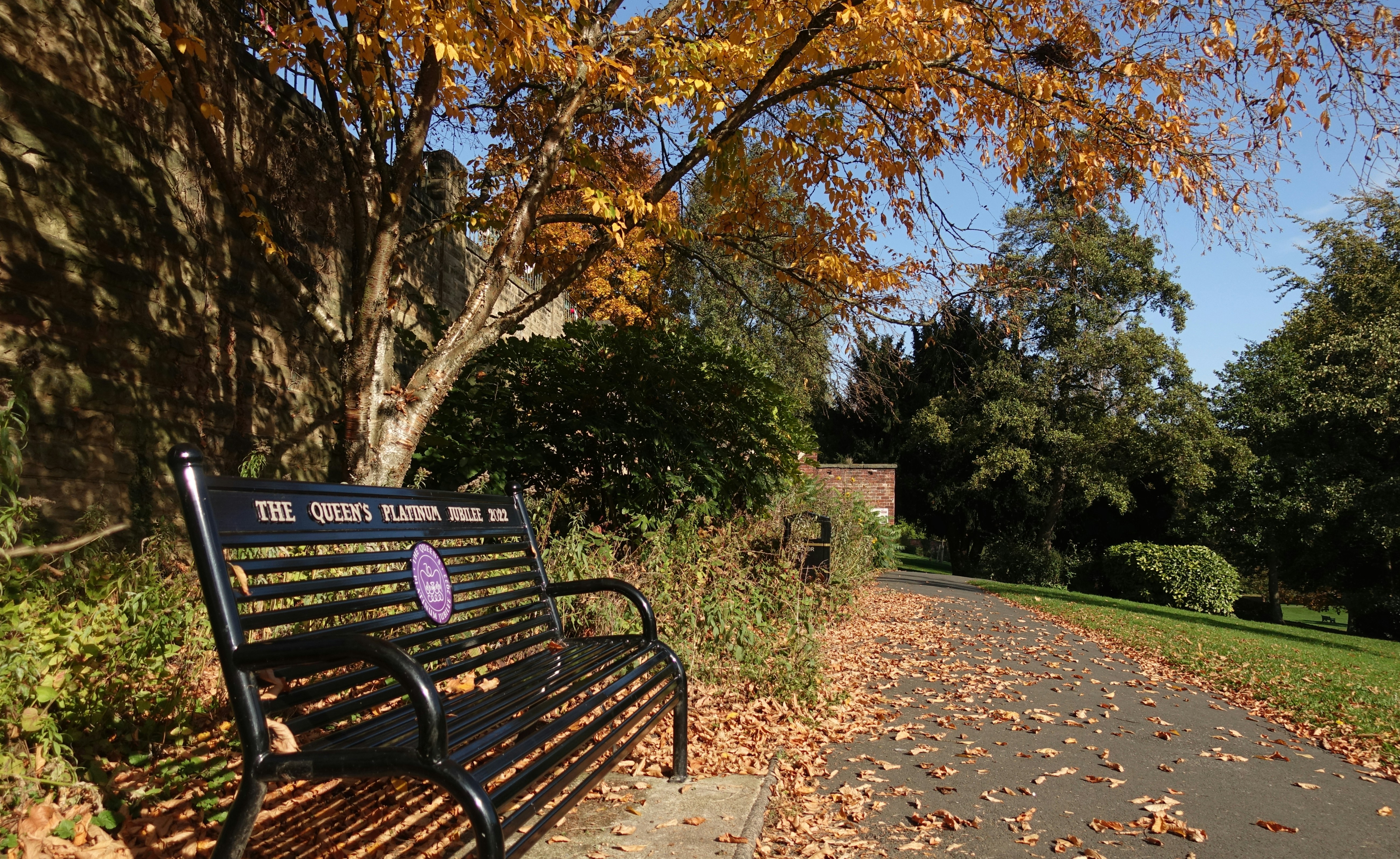 Autumn's Embrace: A Serene Retreat