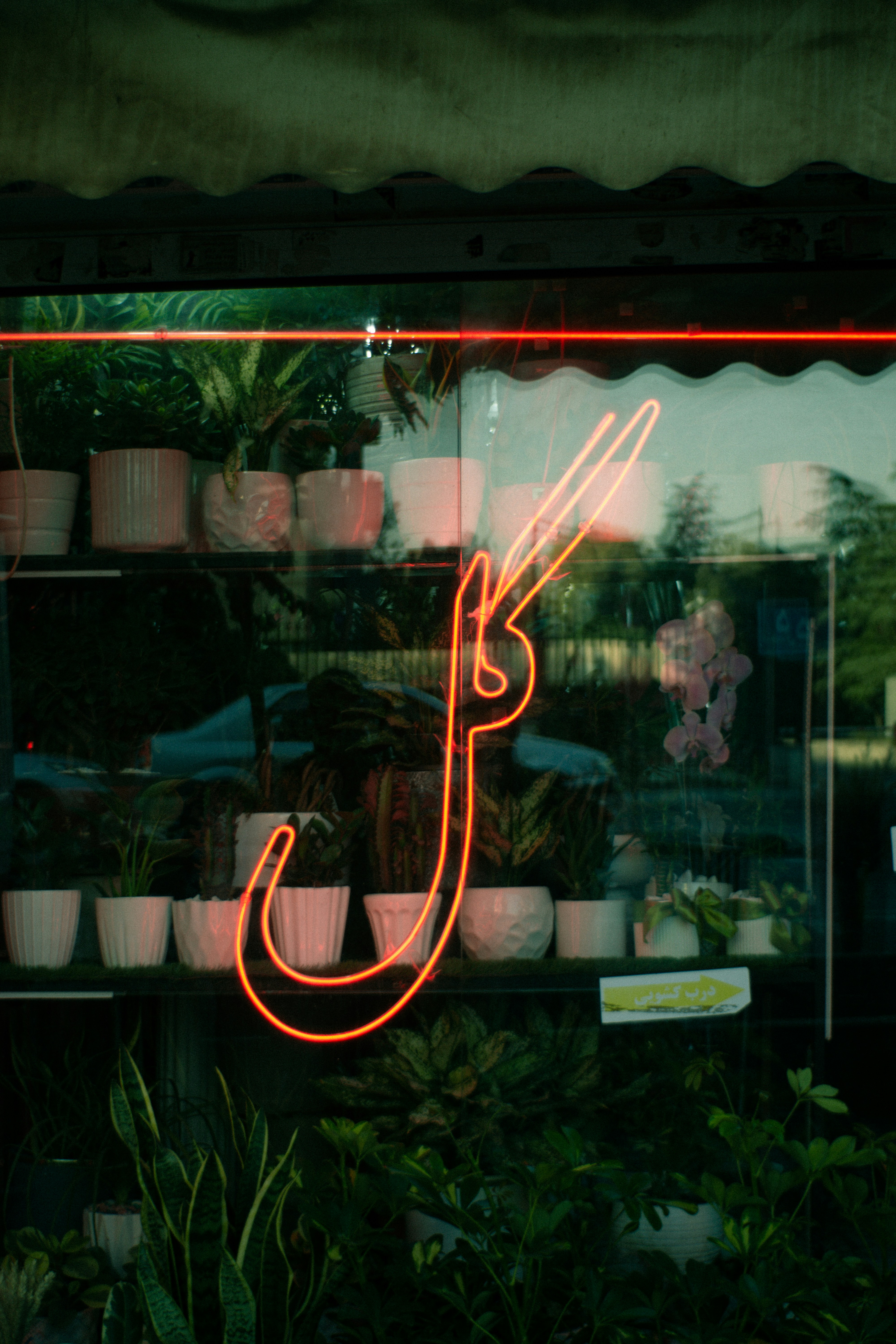 Neon Hook: A Luminous Invitation