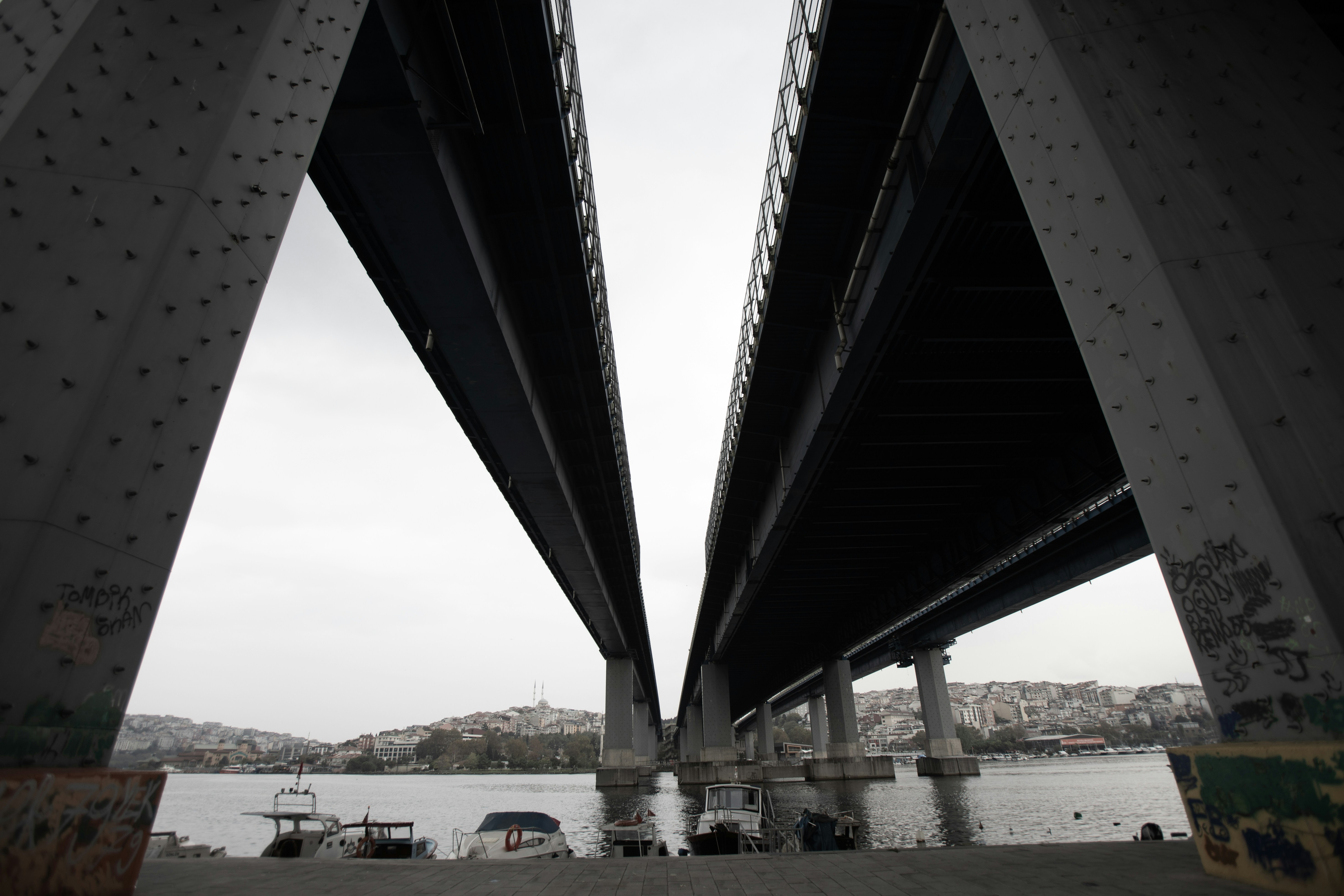 Symphony of Steel: The Intersection of Architecture and Nature