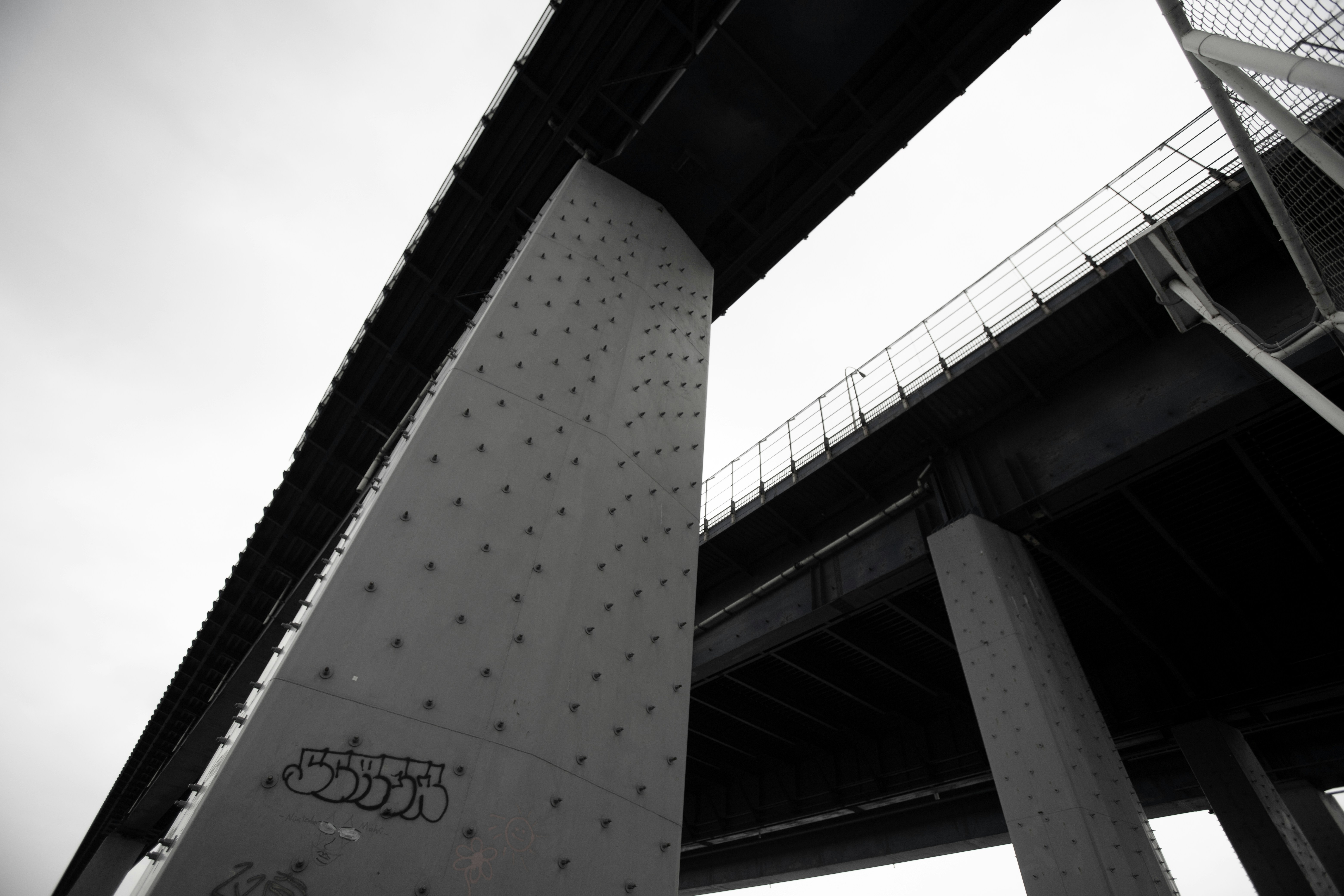 Underneath the Urban Canopy