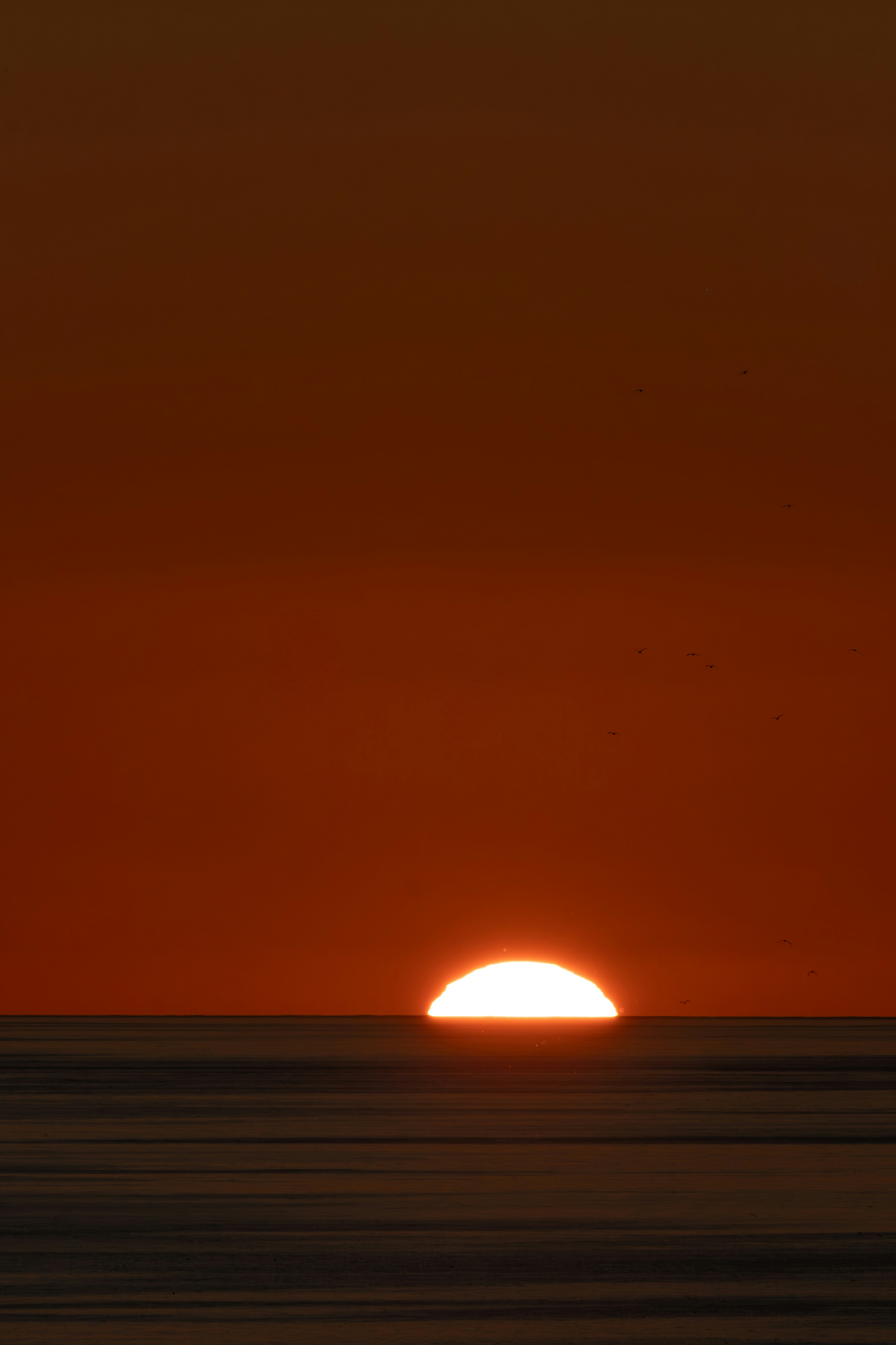 The Horizon's Embrace: A Day's Farewell