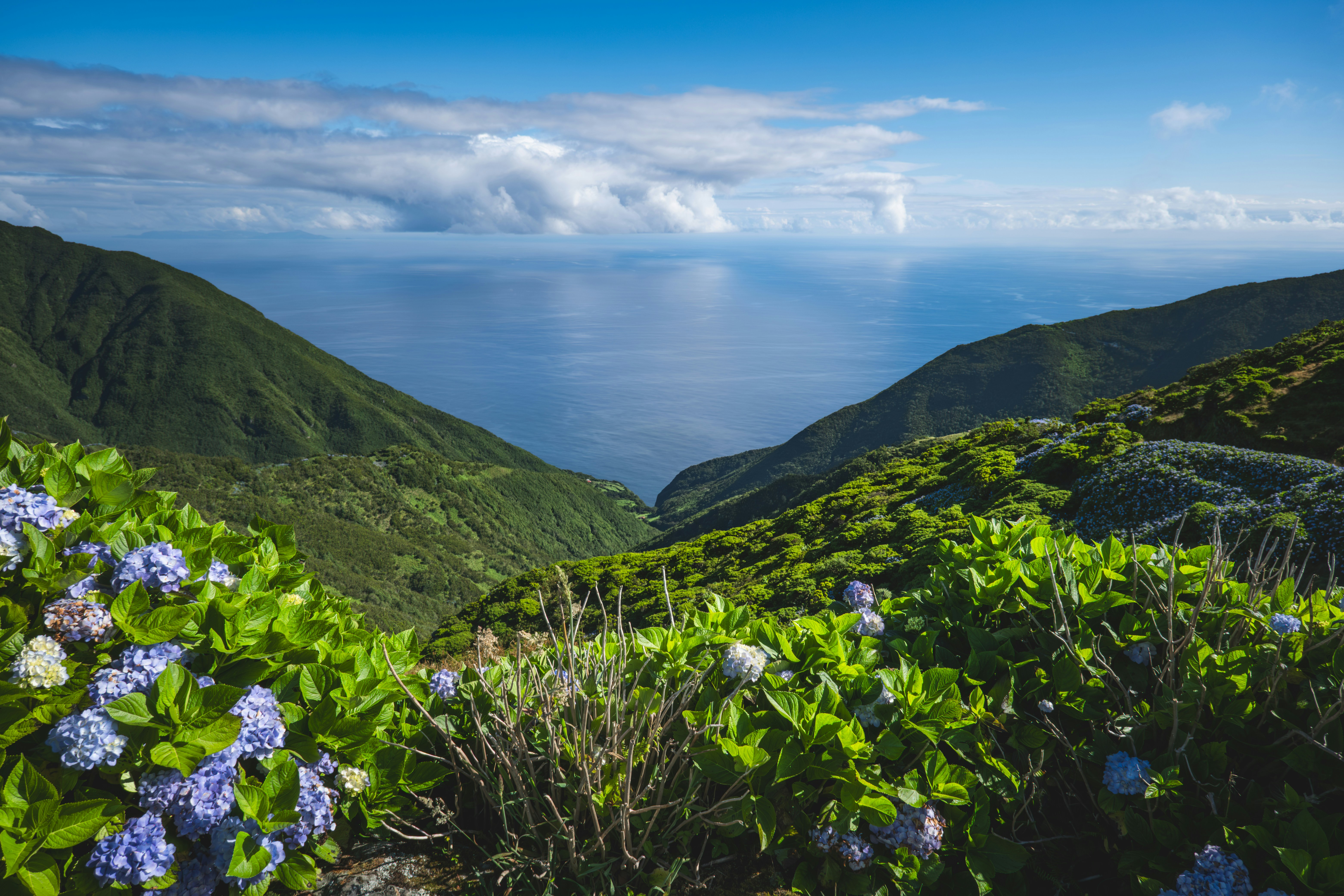Verdant Valleys Meeting the Sea