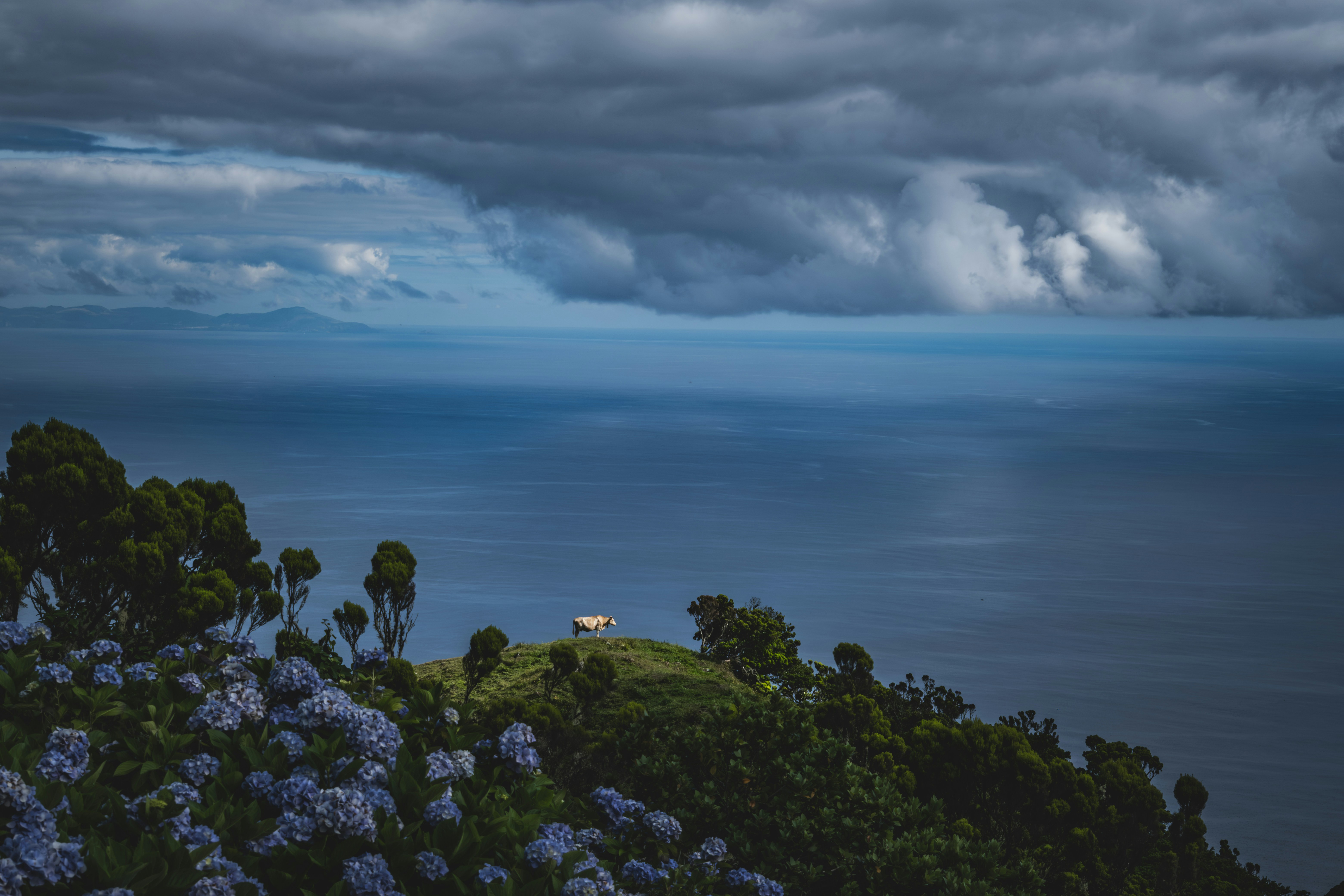 Lone Haven Amidst Nature's Canvas