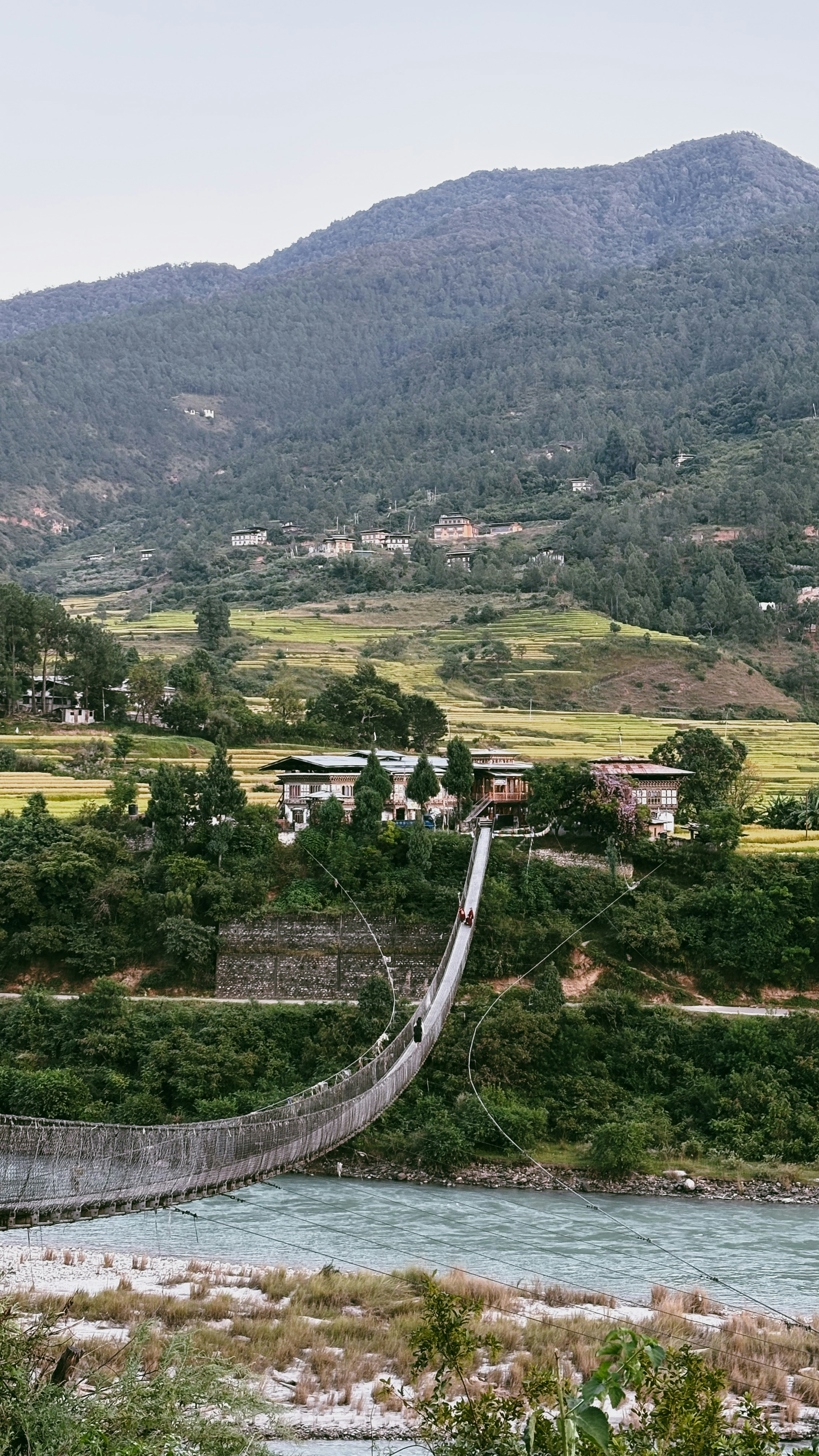 The iconic suspension bridge in Paro stretches gracefully over the turquoise Paro River, connecting traditional Bhutanese homes nestled among lush green terraces and forested mountains.