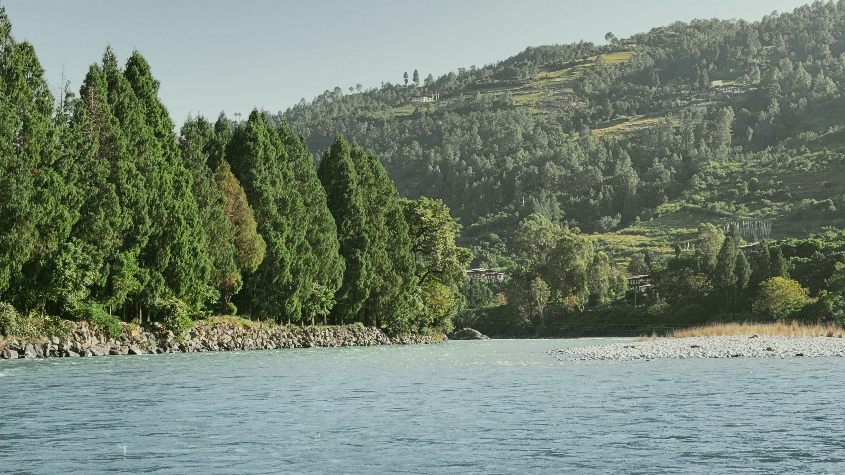 Calm turquoise waters flow beside lush green trees and terraced hills in Paro, capturing Bhutan’s serene natural beauty under the gentle warmth of the afternoon sun. | A wide river flows through a lush green forest.