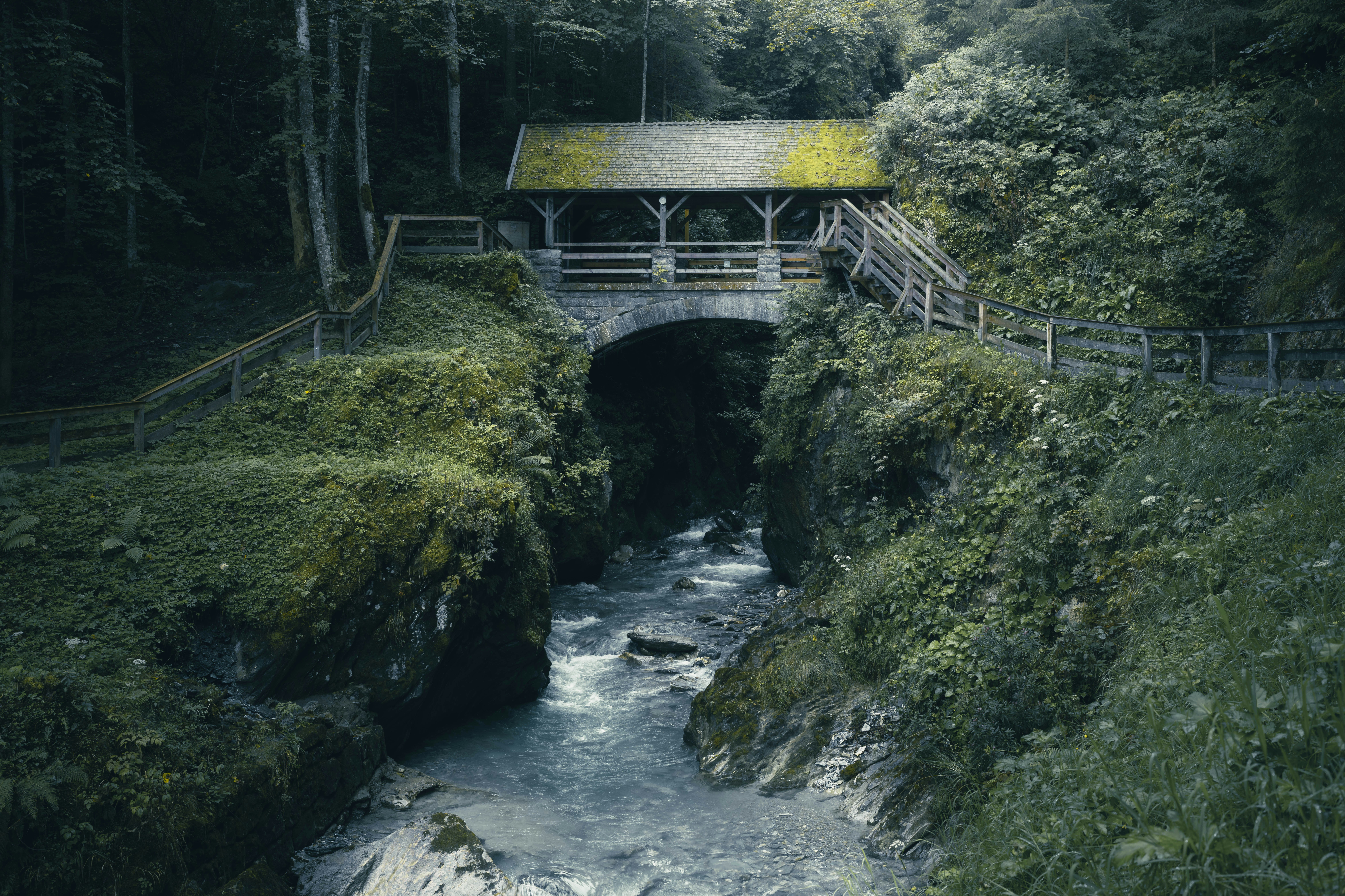 Covered bridge over a flowing stream in a forest