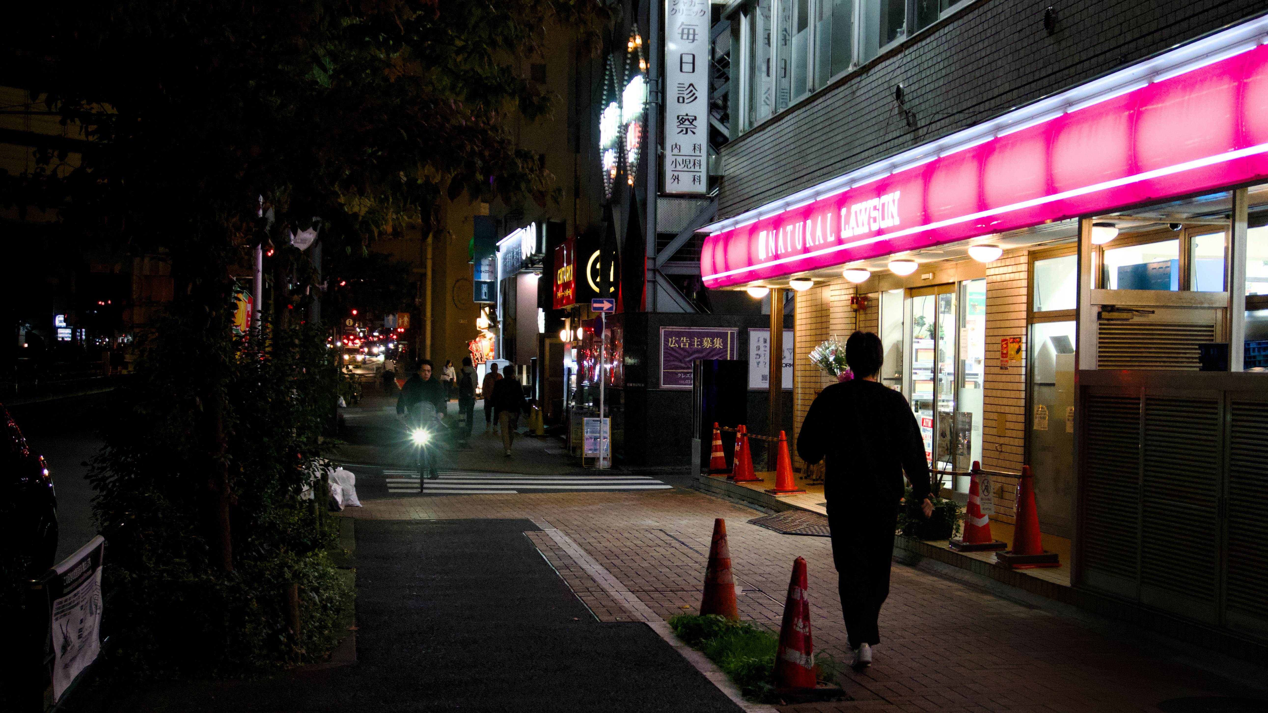 Nocturnal Stroll Through Urban Lights